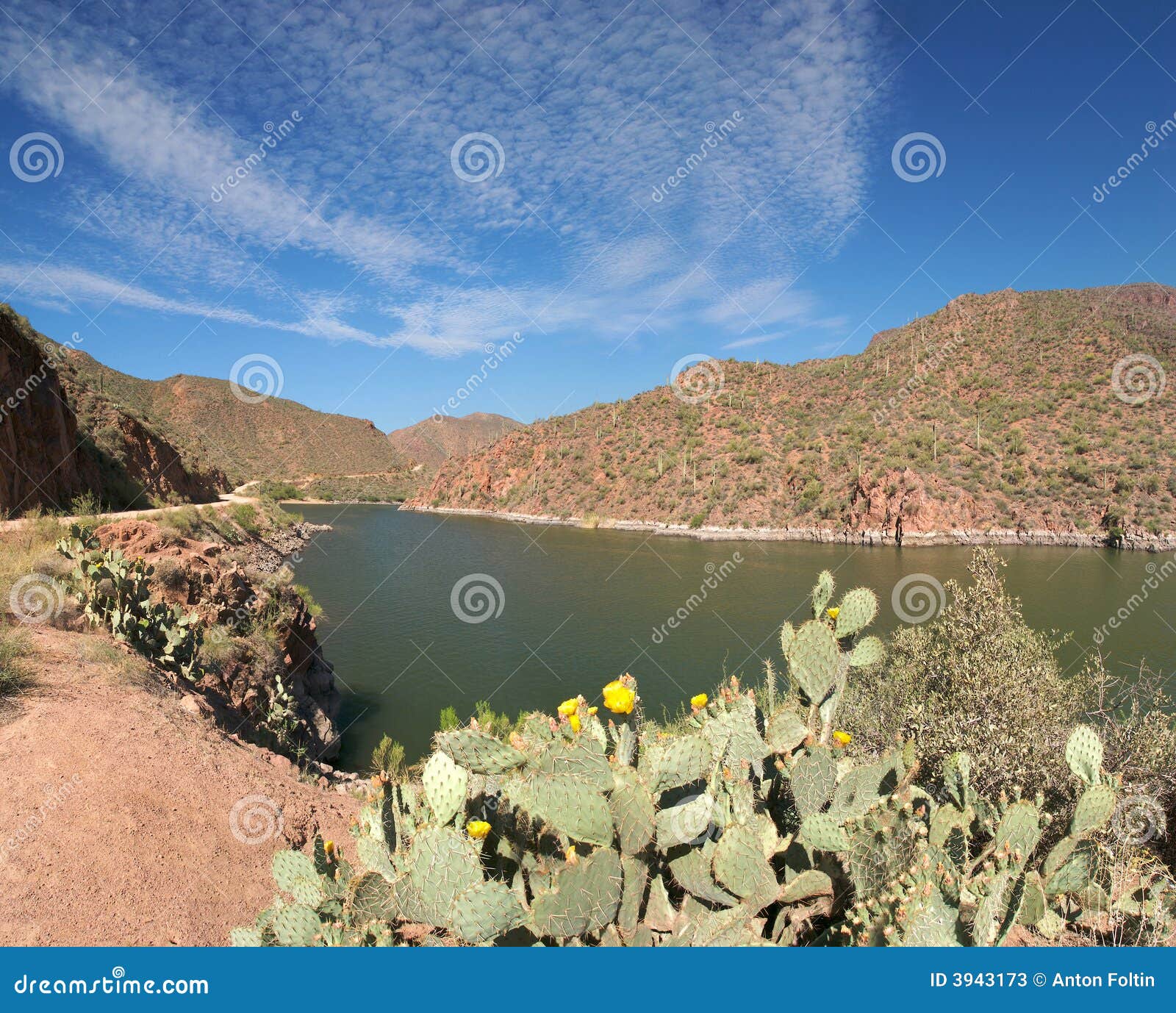 Apache Lake stock image. Image of cholla, nature, lake - 3943173