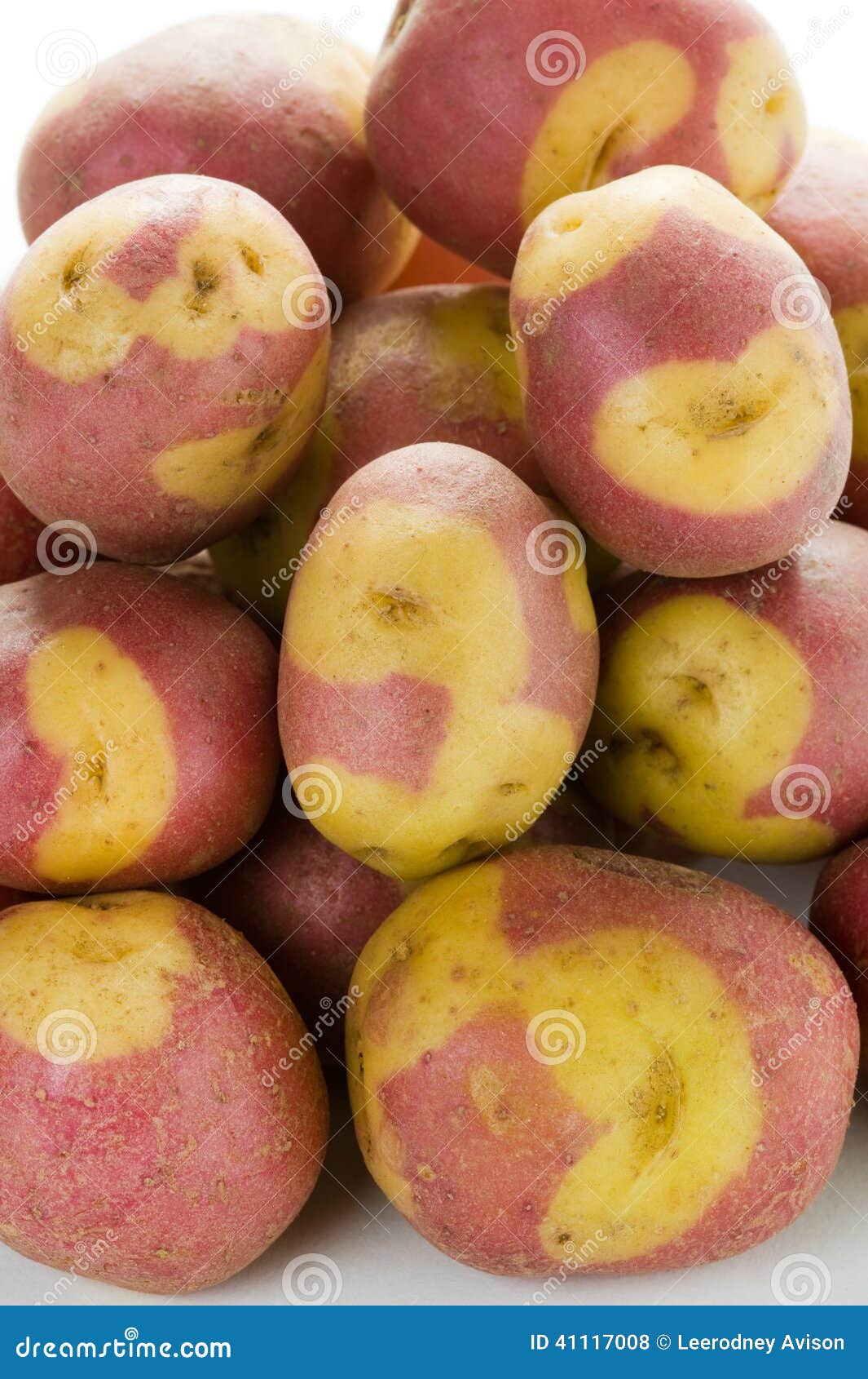 Apache potatoes stock photo. Image of detail, life, isolated - 41117008