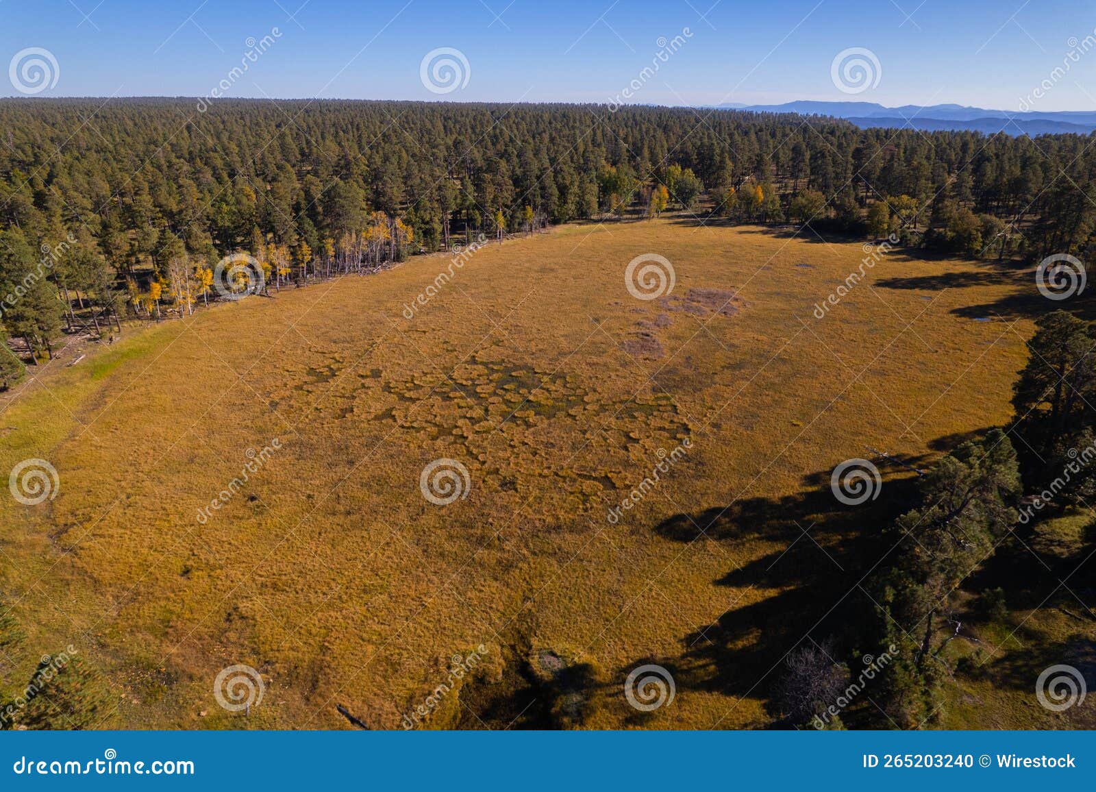 Apache Sitgreaves National Forest, Aerial View Stock Photo - Image of ...