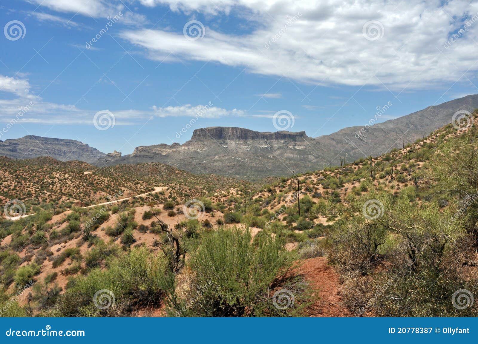 Apache-Spur stockbild. Bild von wald, vereinigt, wüste - 20778387