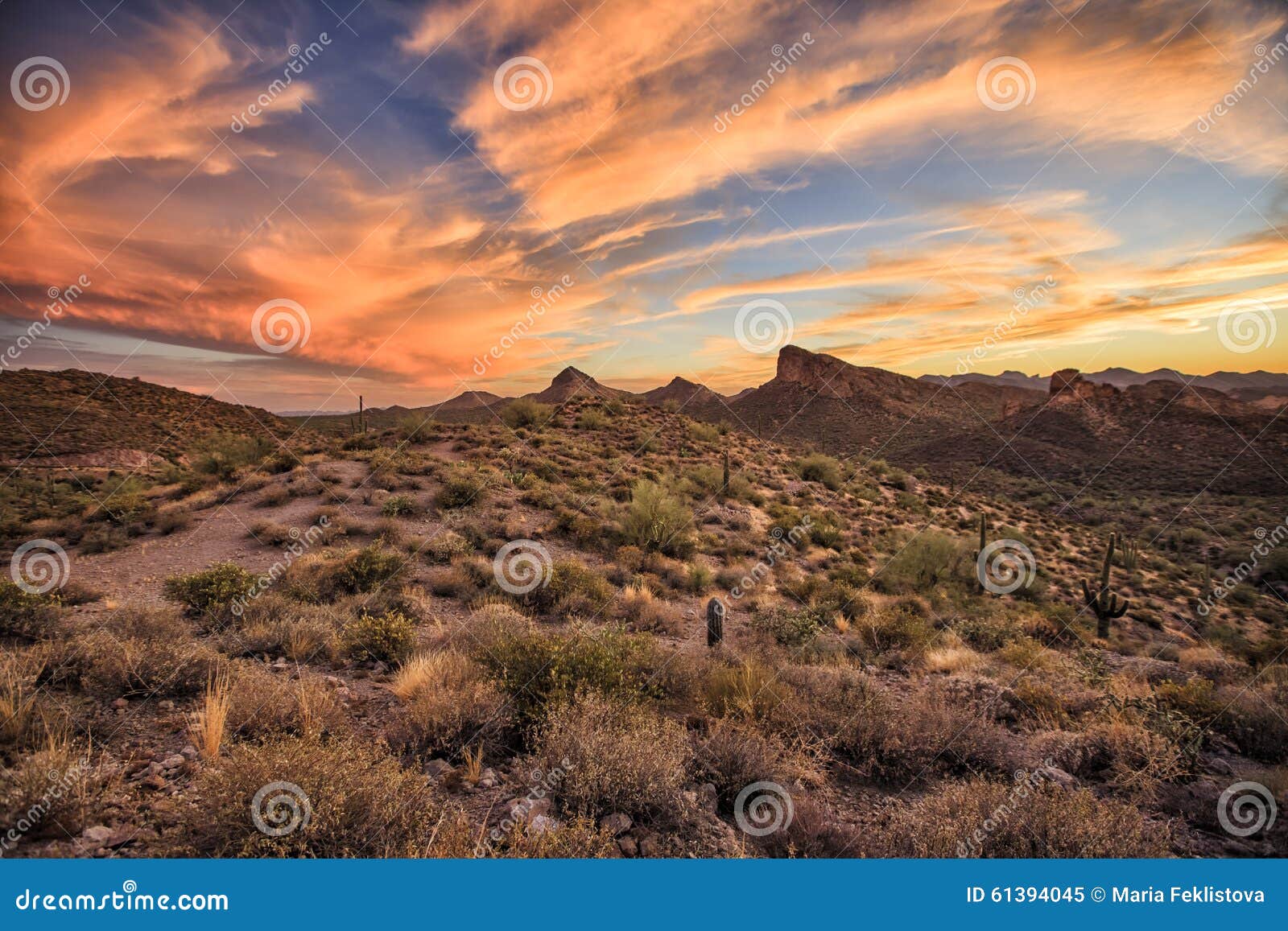 Apache-Spur an Den Sonnenunterganglichtern, Arizona Stockbild - Bild ...