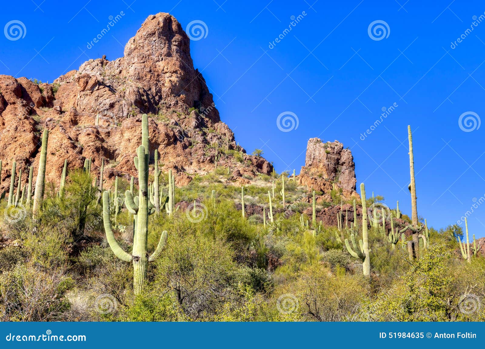 Apache Trail stock image. Image of desert, apache, tonto - 51984635