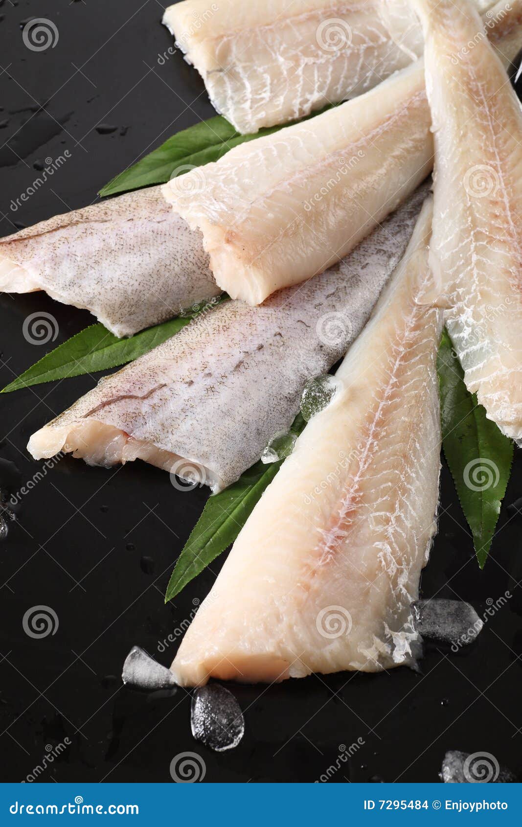 Apacific true cod stock photo. Image of seafood, restaurant - 7295484