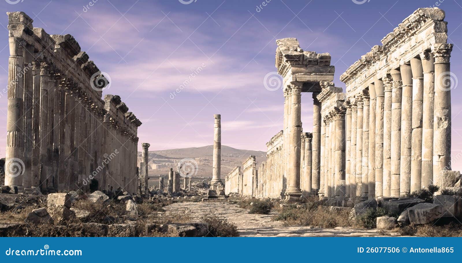 Apamea, Syria stock photo. Image of archaeology, cardo - 26077506