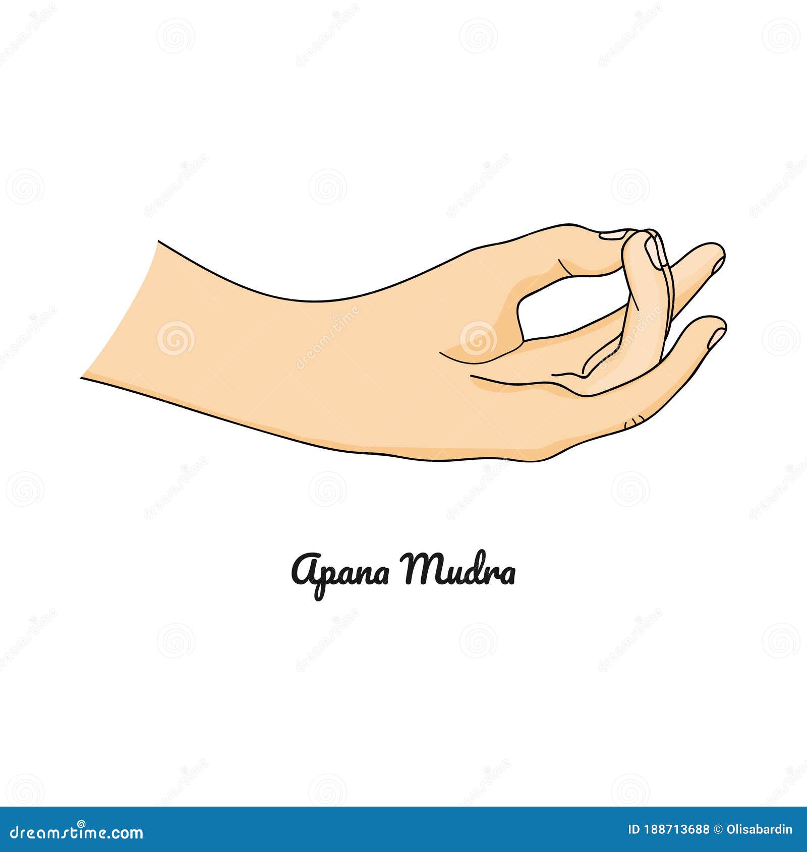 Apana Mudra / Gesture of Life Force. Vector Stock Vector - Illustration ...