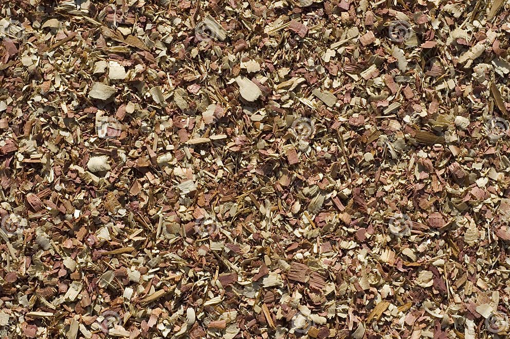 Aparas do Mulch do cedro imagem de stock. Imagem de microplaquetas ...