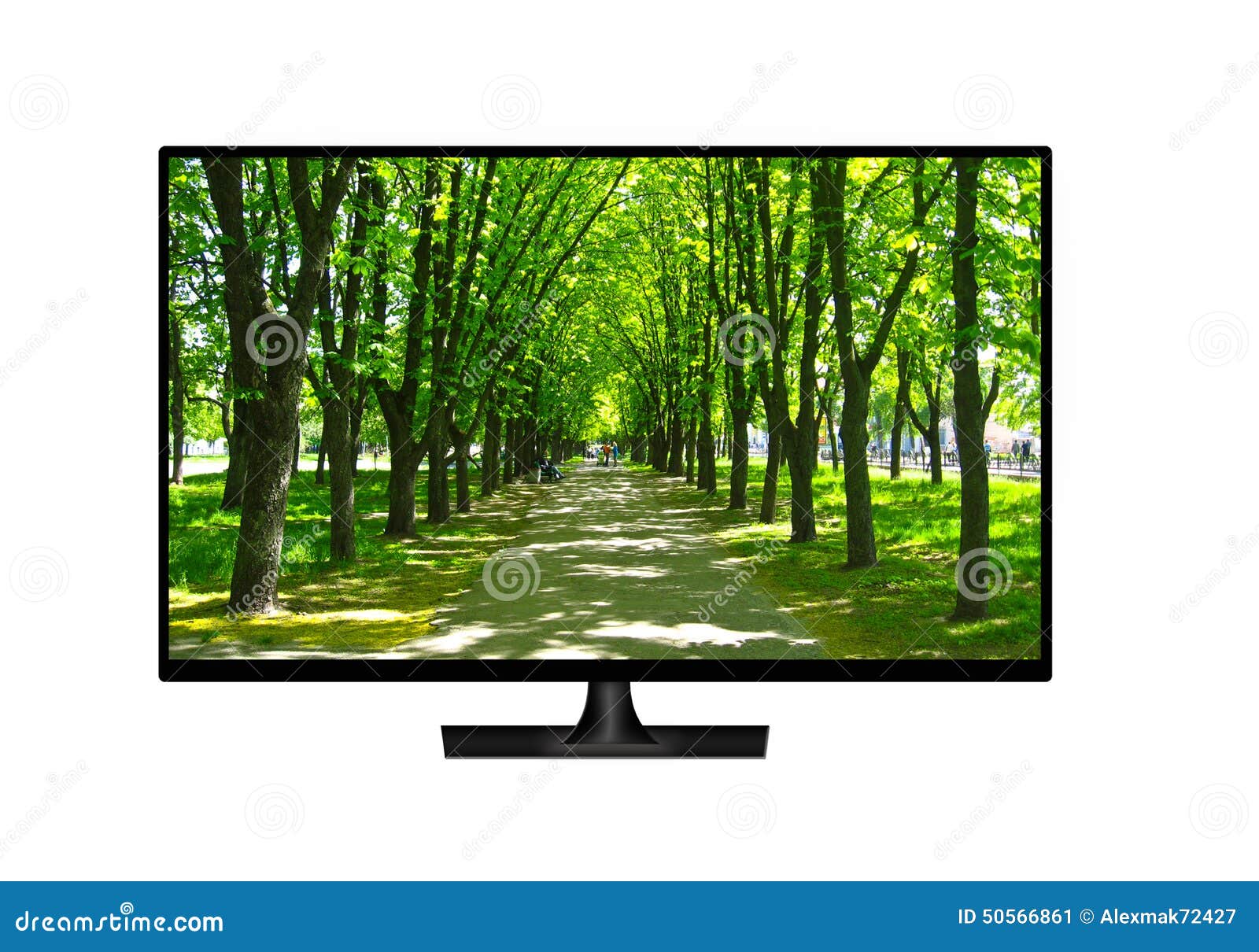 Aparelho De Televisão Com a Imagem Do Parque Verde Isolada Imagem de ...