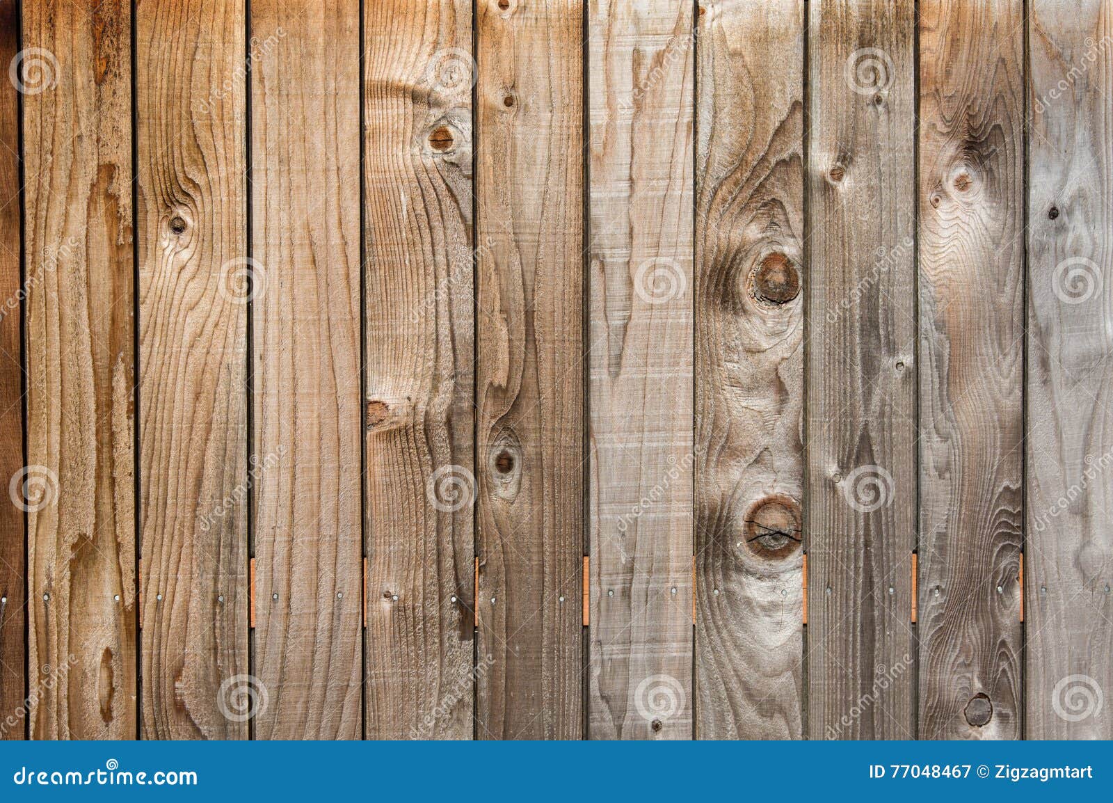 Apartadero De Madera Vertical Con El Modelo Imagen de archivo - Imagen ...