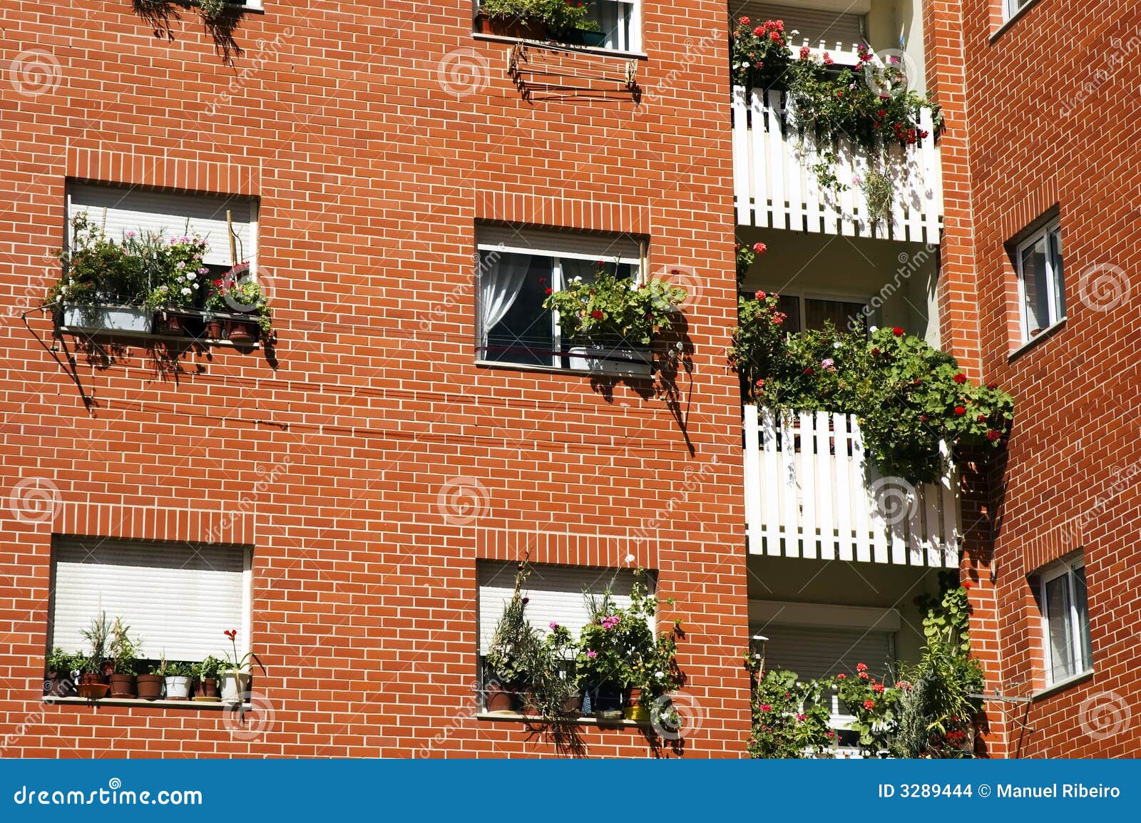 Apartment block stock photo. Image of cement, gaudy, estate - 3289444