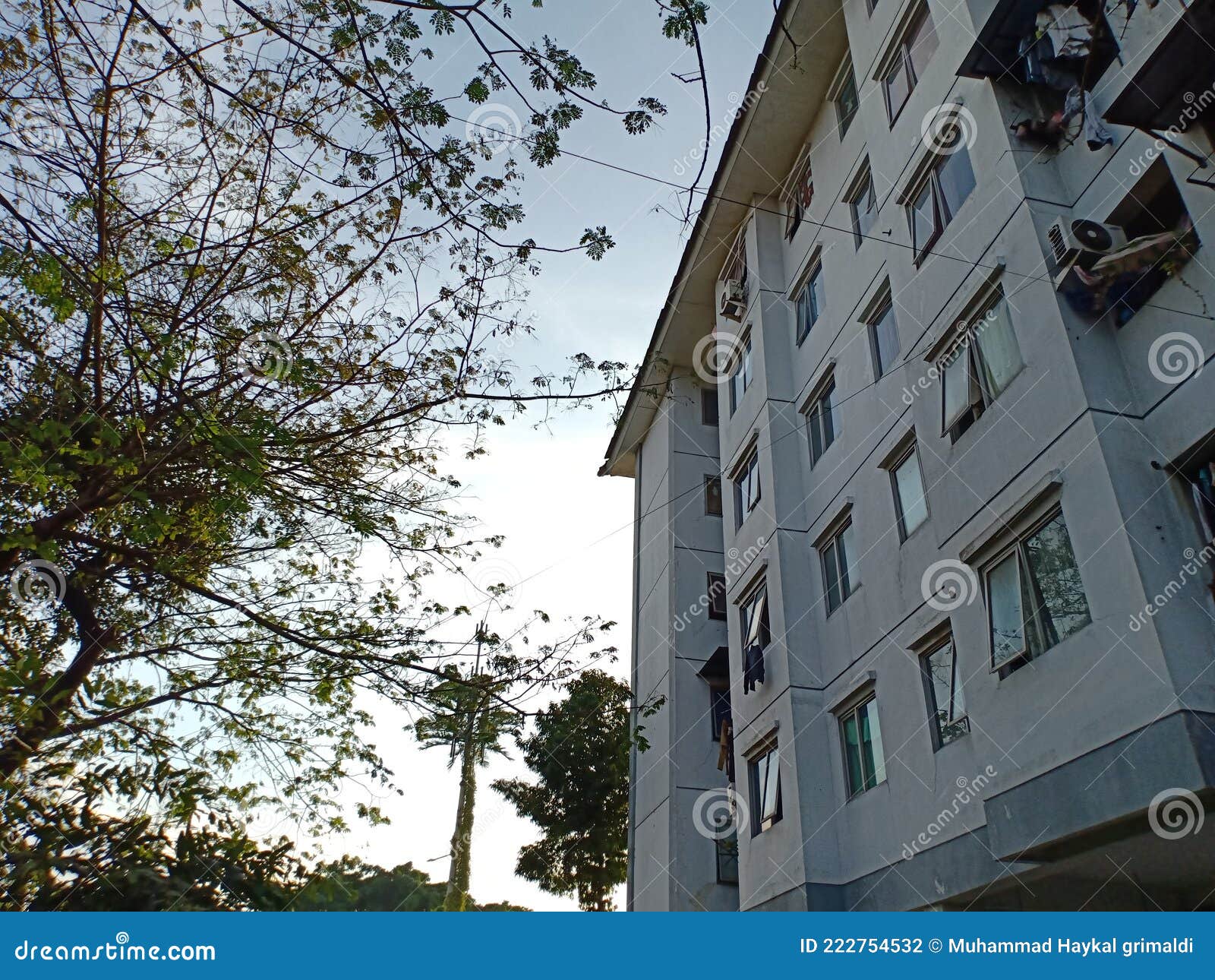 An Apartment Building Seen from the Outside that is Bordered by Trees ...