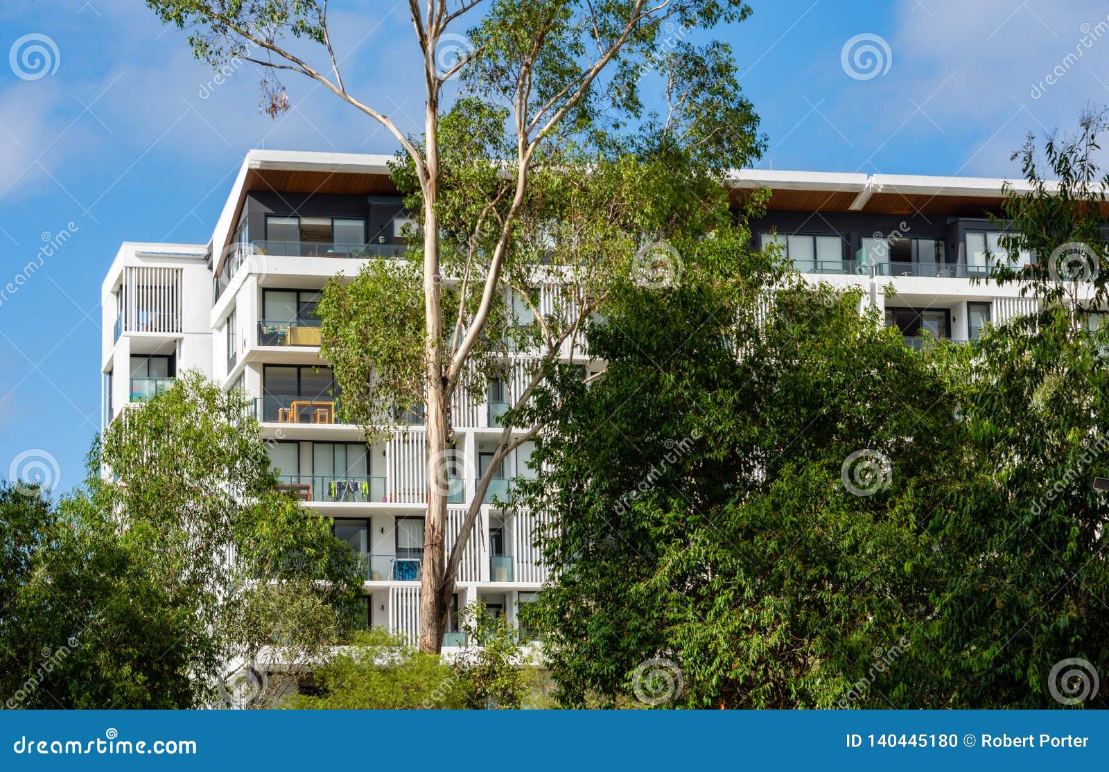 Apartment Building through the Trees Stock Photo - Image of building ...