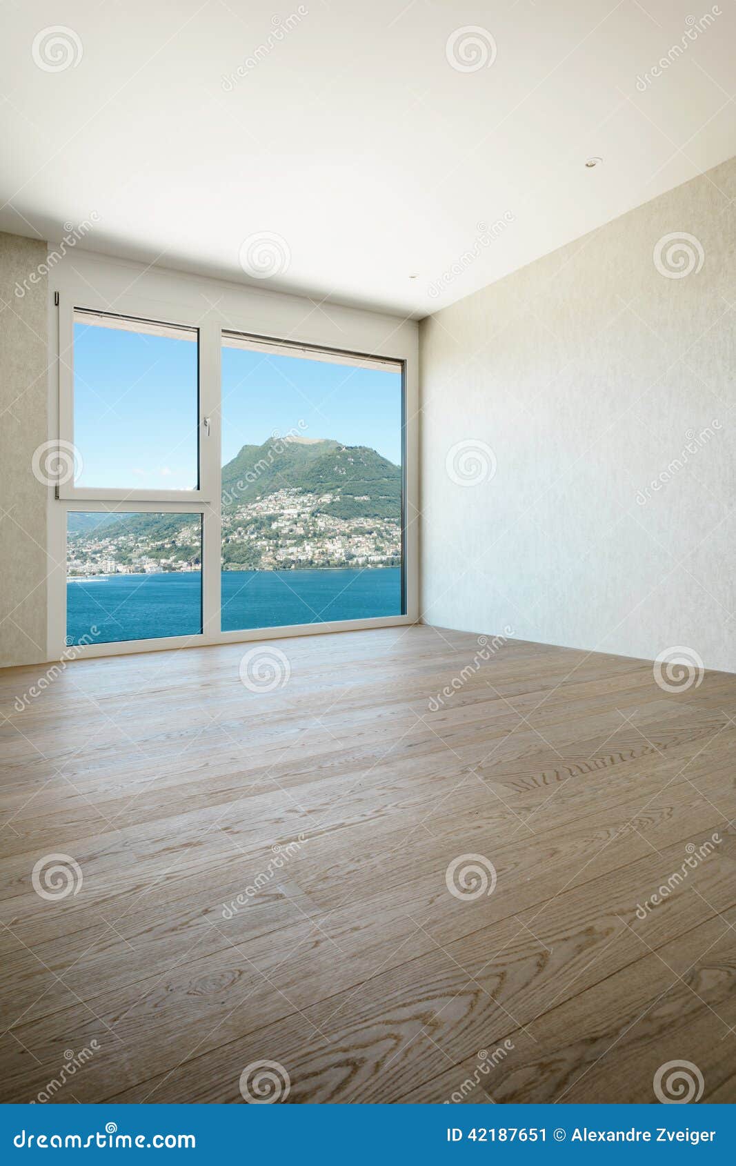 Apartment, empty room stock image. Image of parquet, lake - 42187651