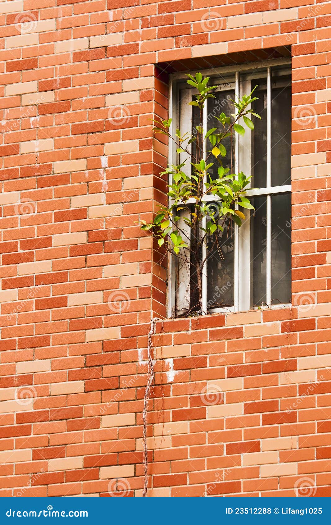 Apartment window stock photo. Image of design, architectural - 23512288