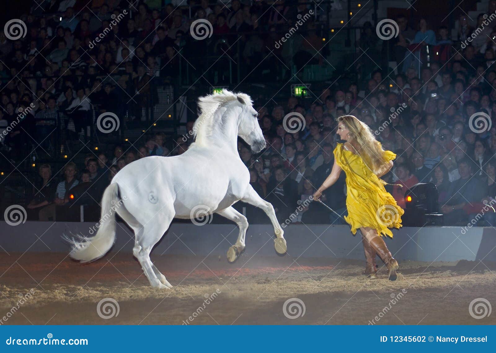 Apassionata horse show editorial photography. Image of champion - 12345602