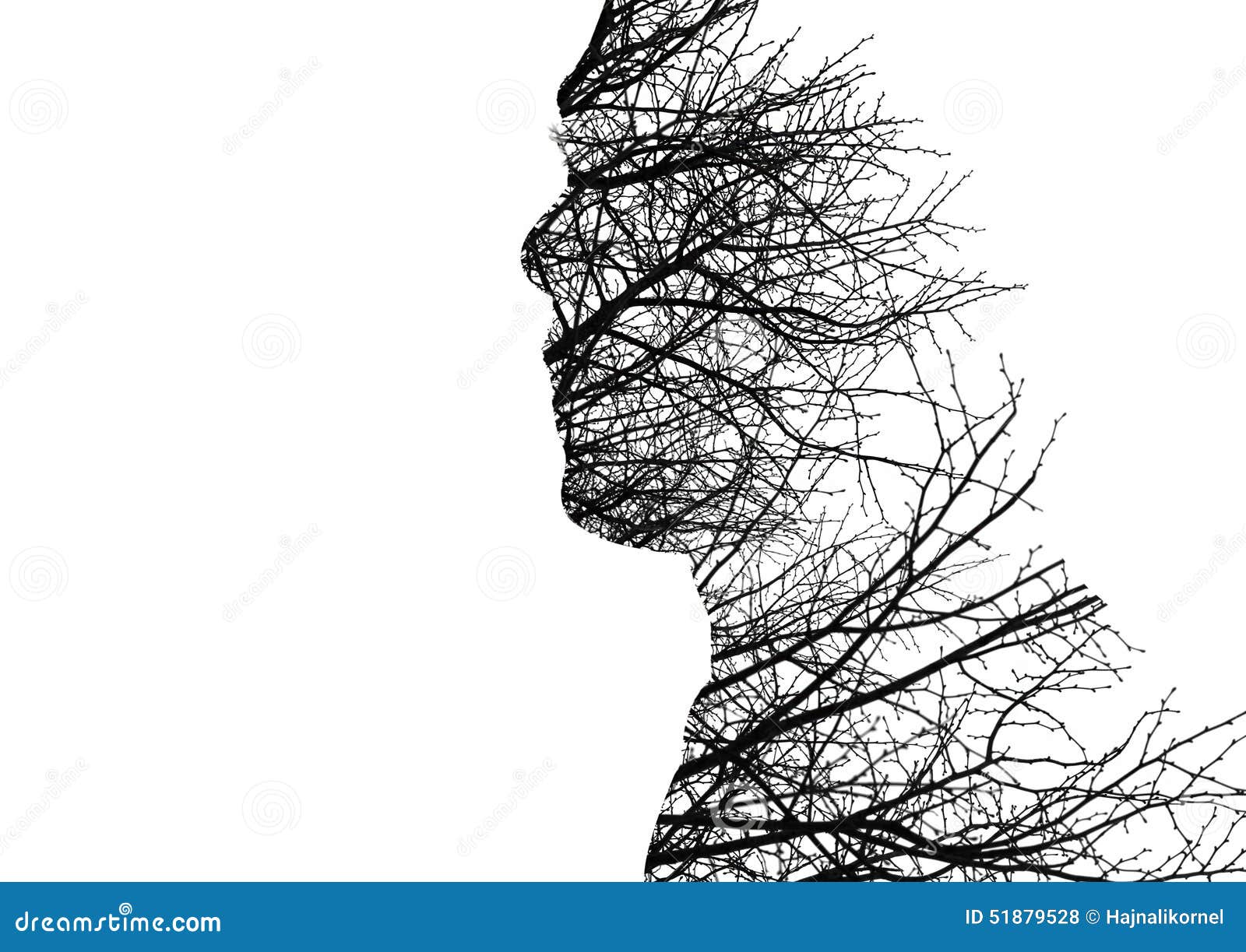 Human Profile Made of Bare Tree Branches Stock Photo - Image of empty ...