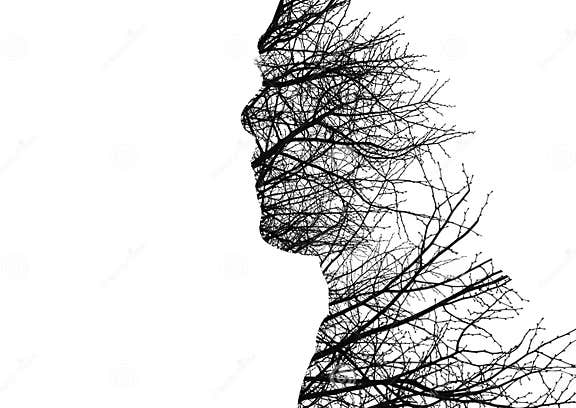 Human Profile Made of Bare Tree Branches Stock Photo - Image of empty ...