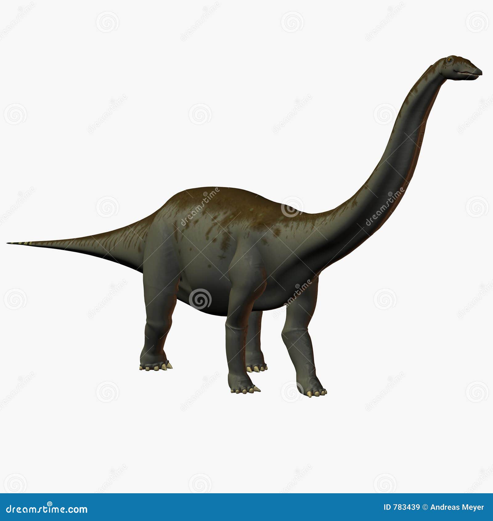 Brontosaurus Head
