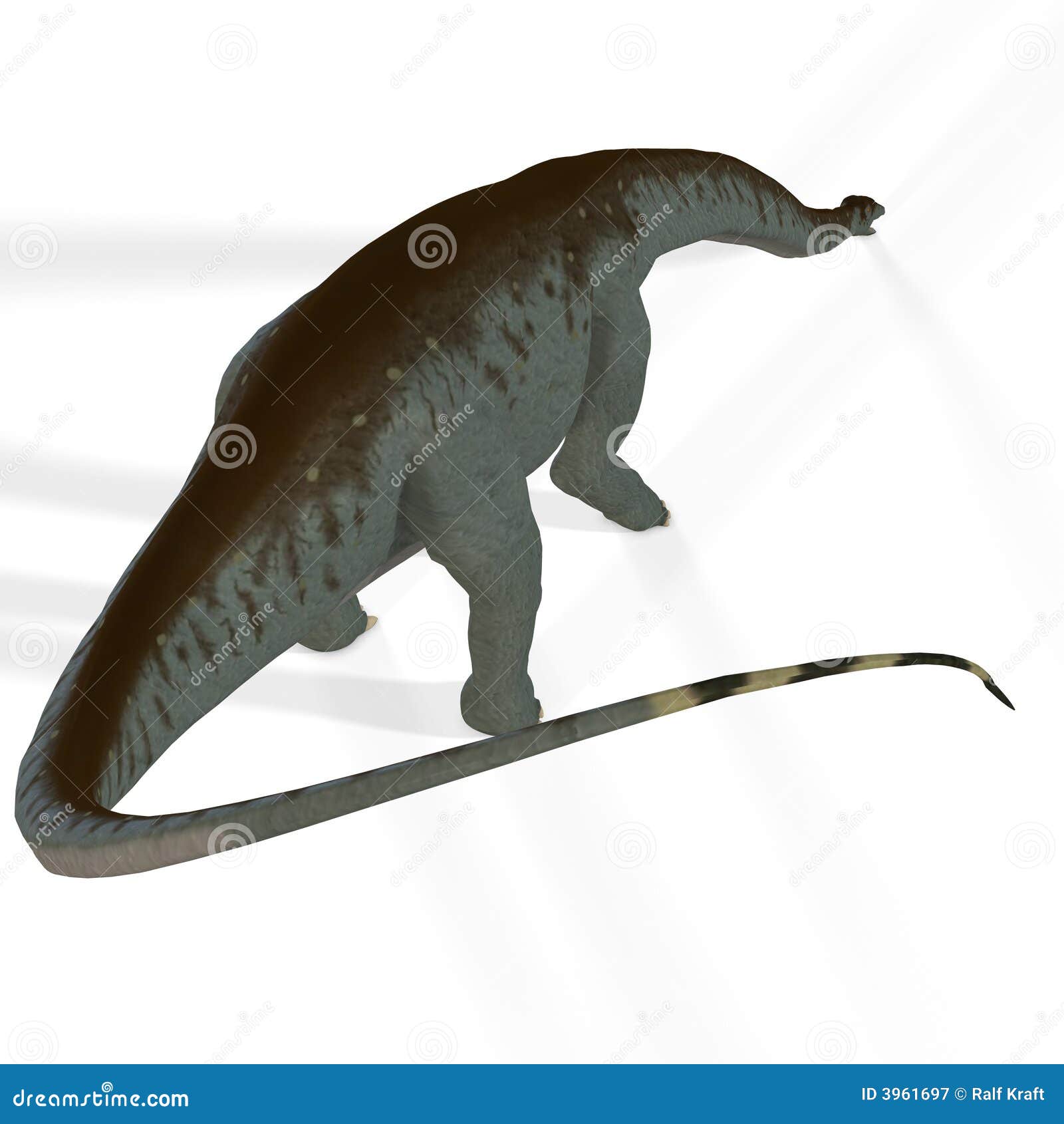 Apatosaurus Aka Brontosaurus Stock Illustration - Illustration of ...