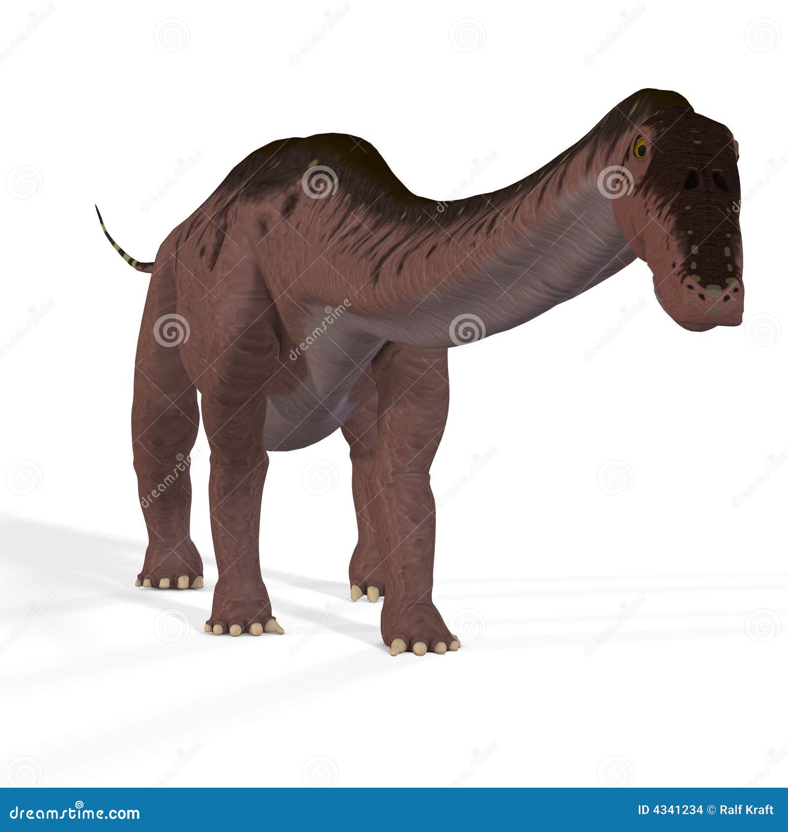 Apatosaurus Aka Brontosaurus Stock Illustration - Illustration of ...