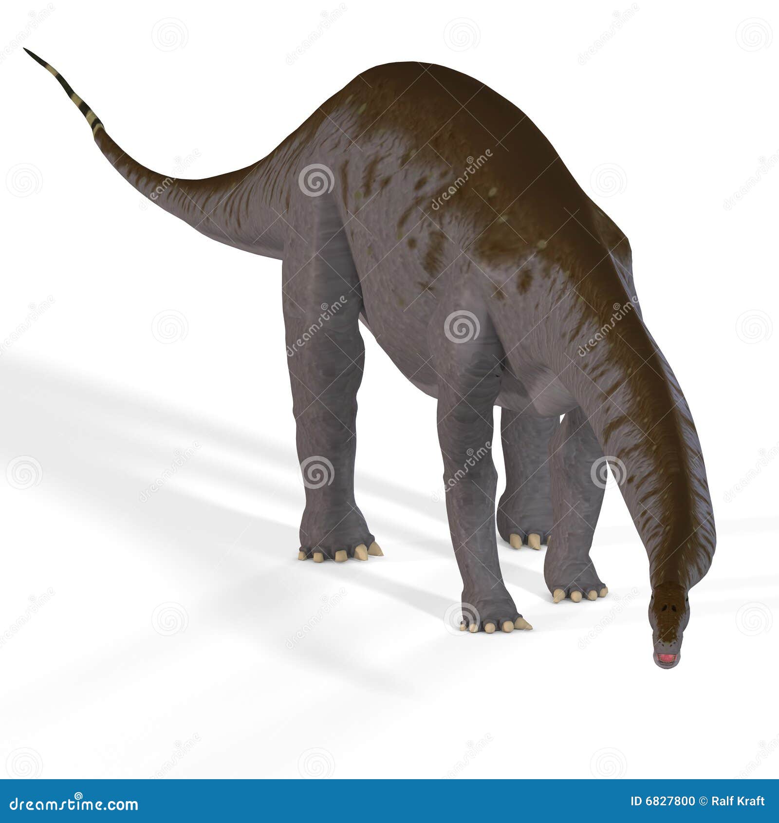 Apatosaurus Aka Brontosaurus Royalty-Free Stock Image | CartoonDealer ...