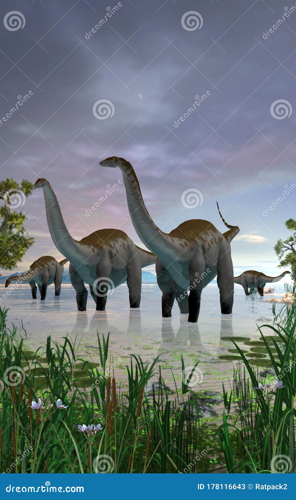 Apatosaurus Dinosaur Herd in Shallow Water Stock Illustration ...