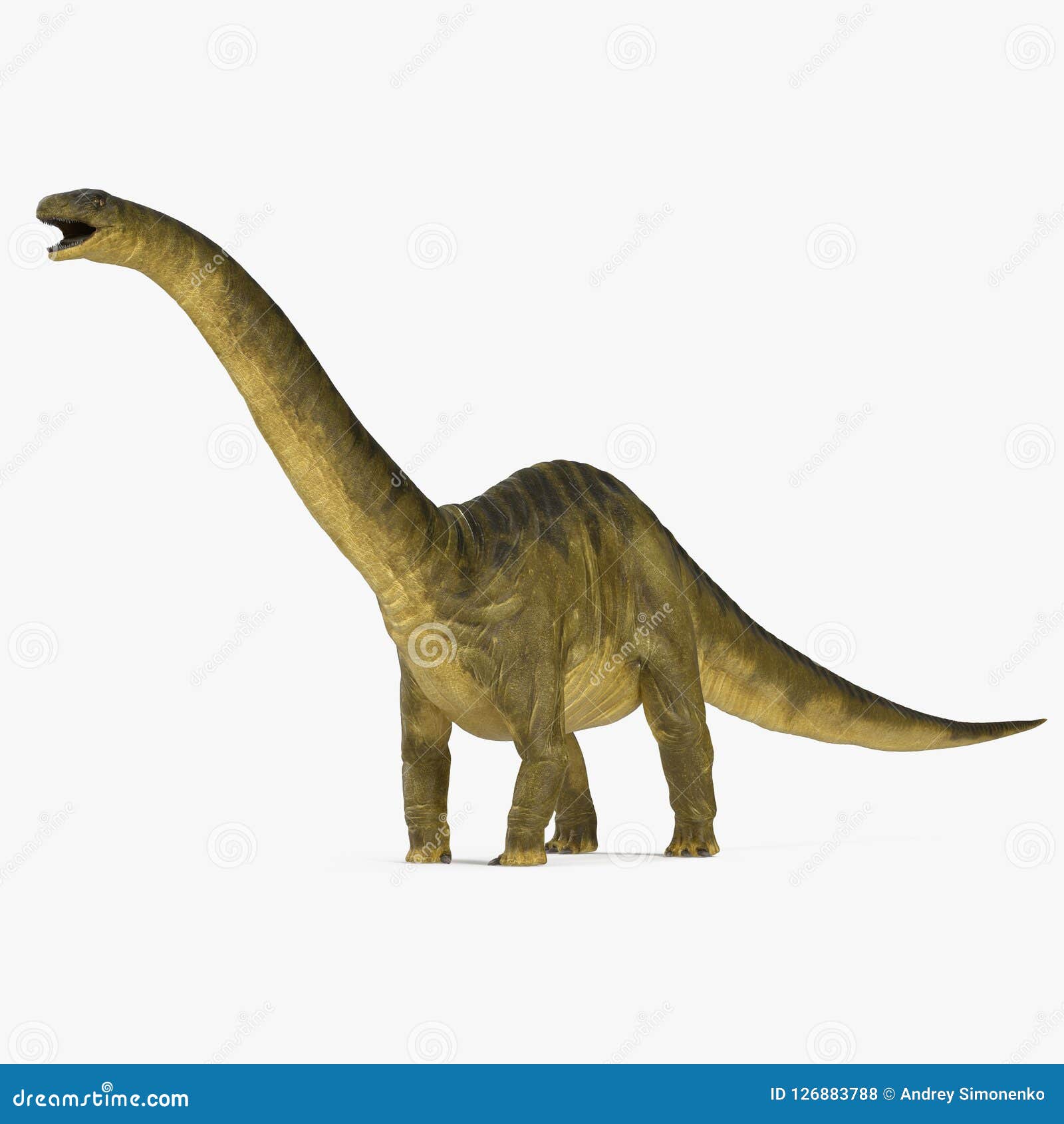 Apatosaurus Dinosaur Model on White. 3D Illustration Stock Illustration ...