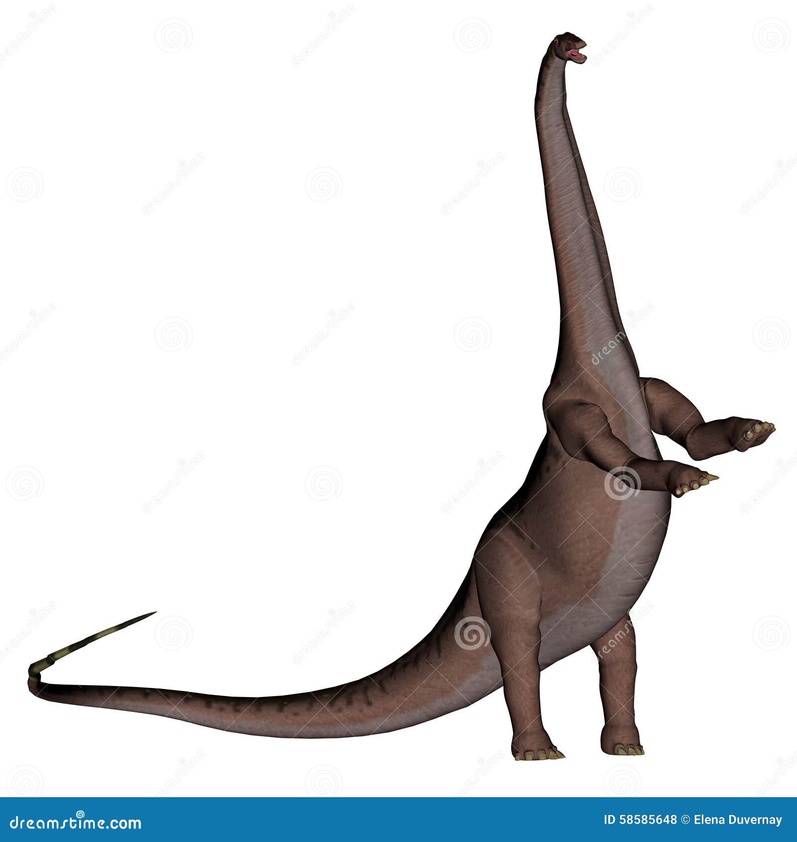 Apatosaurus Dinosaur Standing Up - 3D Render Stock Illustration ...
