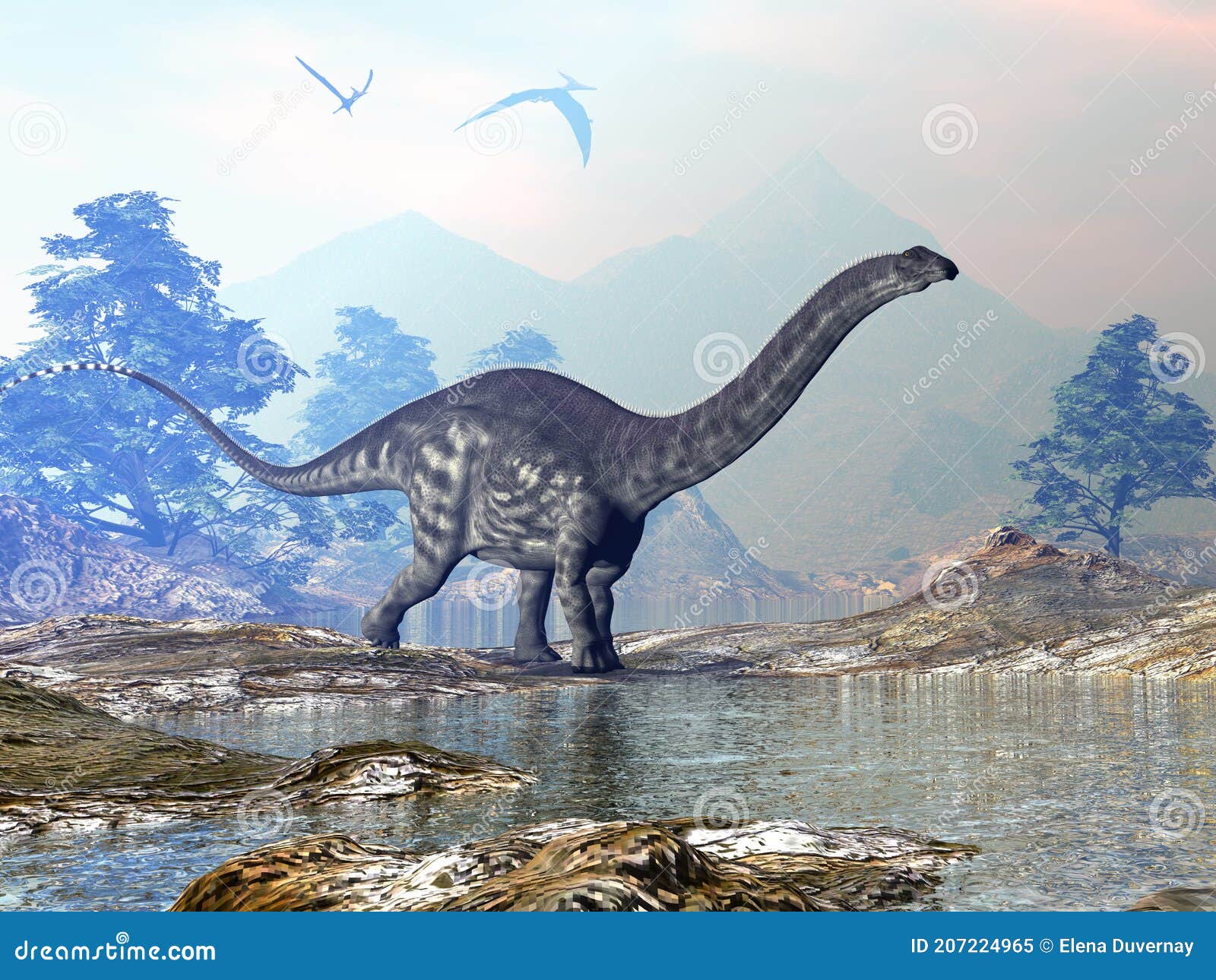 Apatosaurus Dinosaur Walking - 3D Render Stock Illustration ...