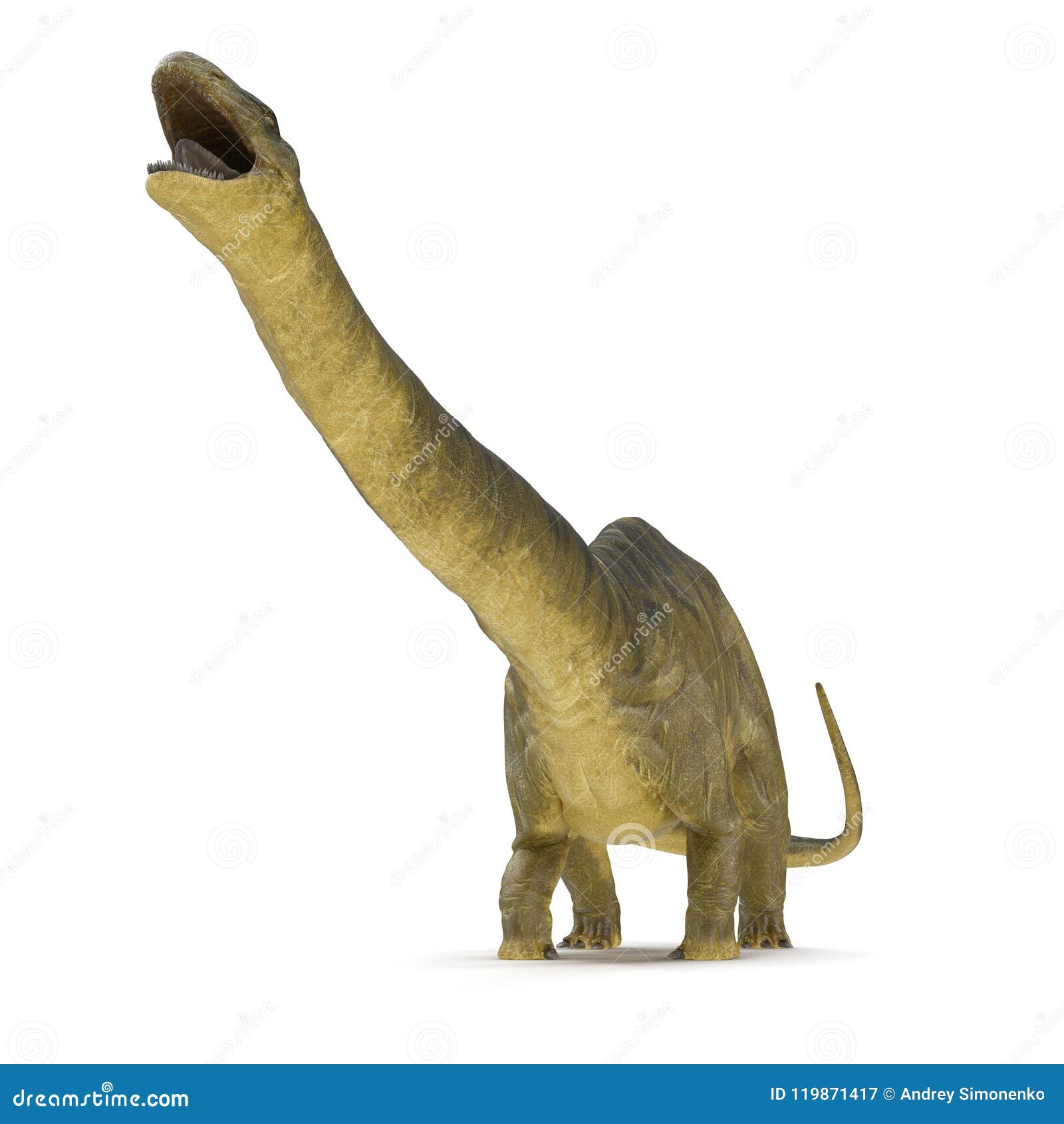 Apatosaurus Dinosaur on White. Front View. 3D Illustration Stock ...