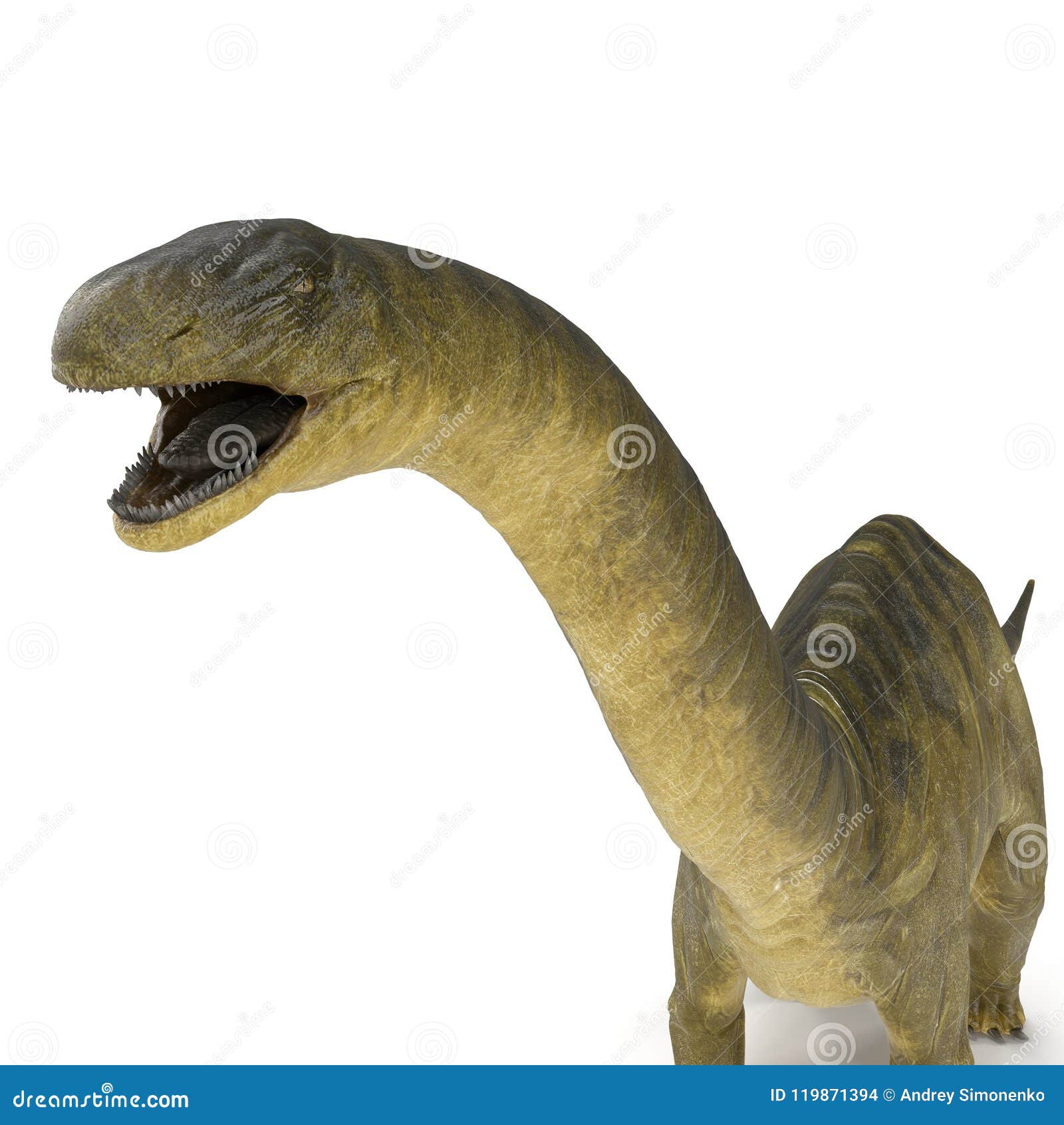Apatosaurus Dinosaur on White. 3D Illustration Stock Illustration ...