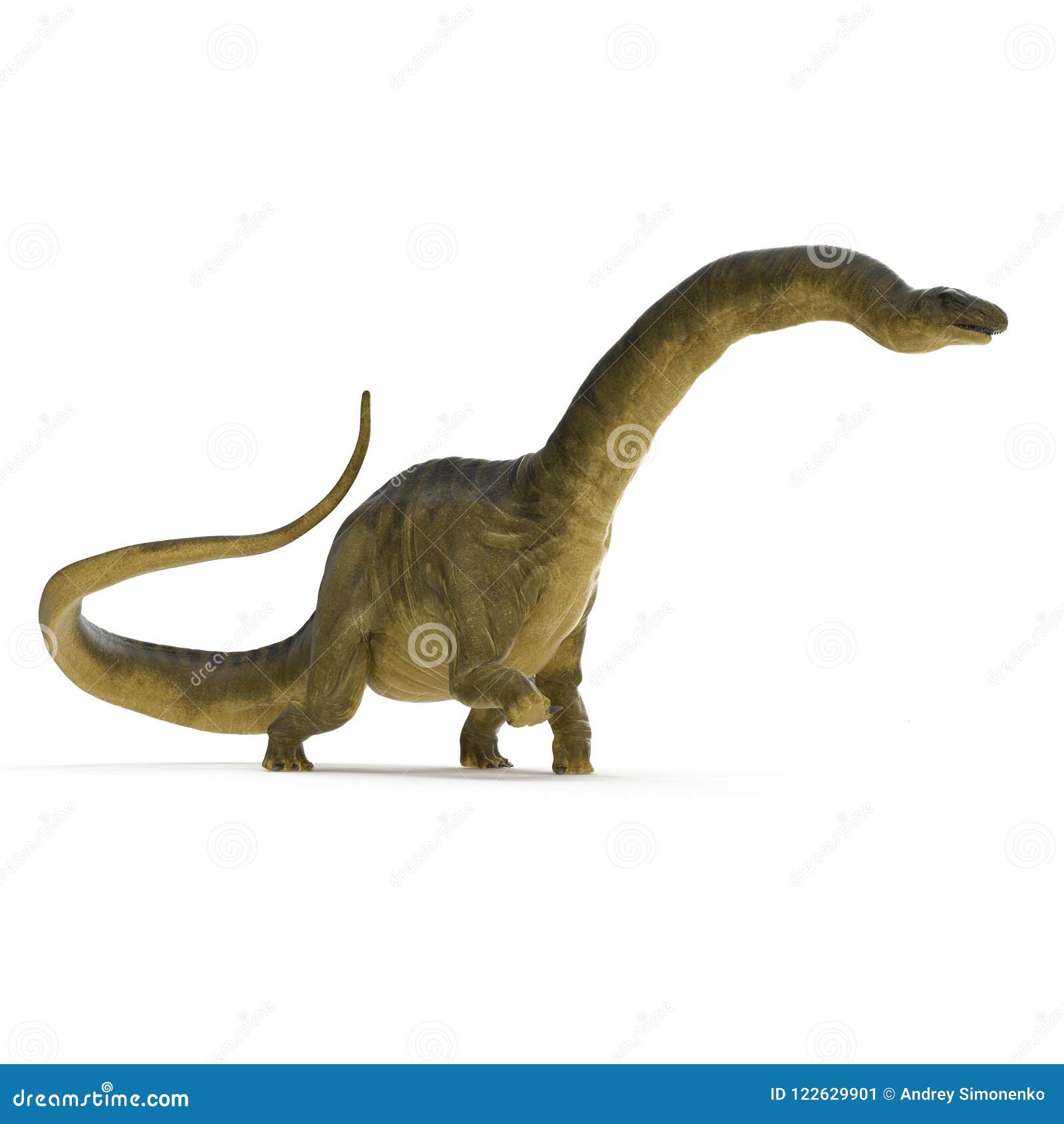 Apatosaurus Dinosaur on White. 3D Illustration Stock Illustration ...