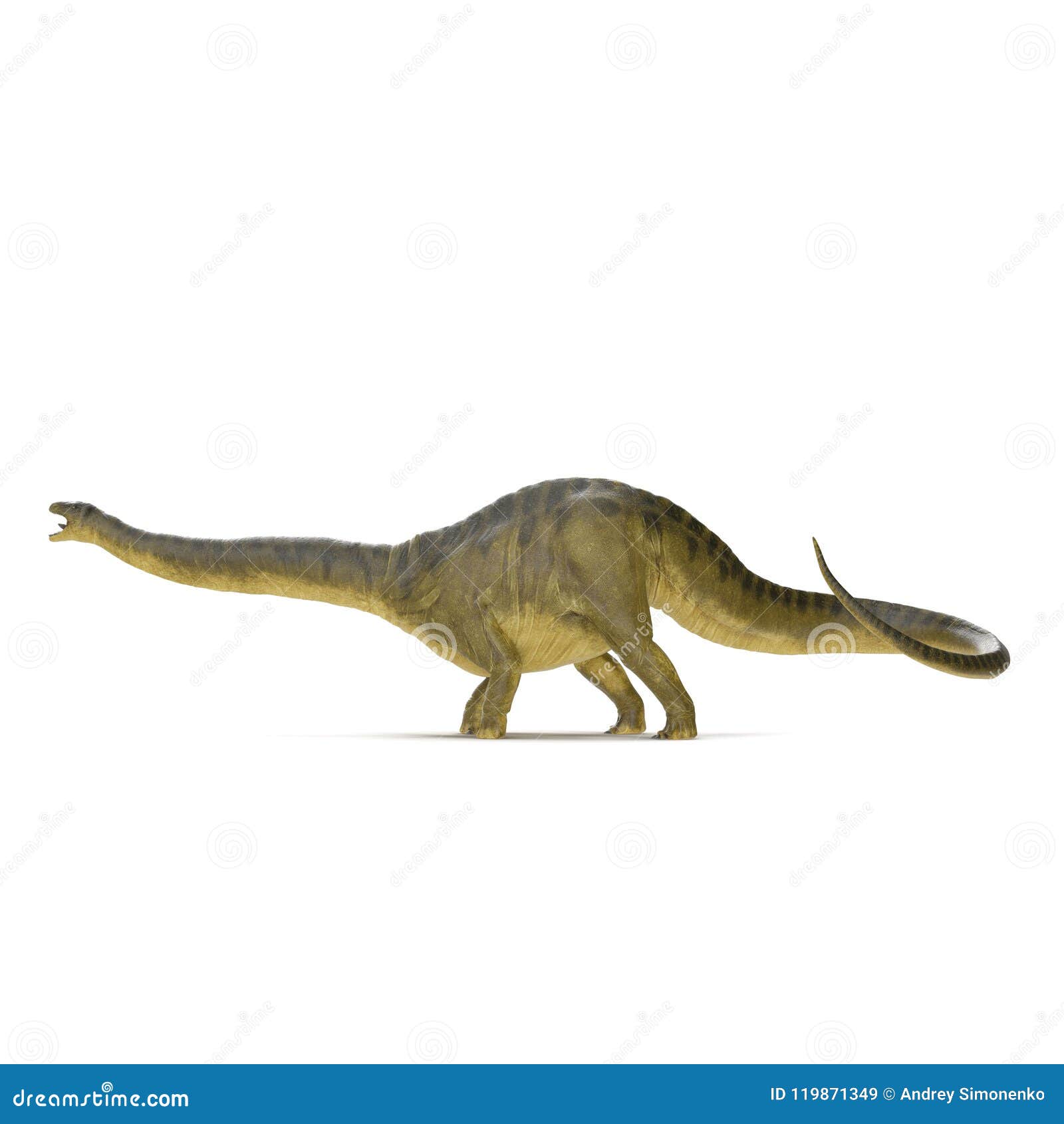 Apatosaurus Dinosaur on White. Side View. 3D Illustration Stock ...