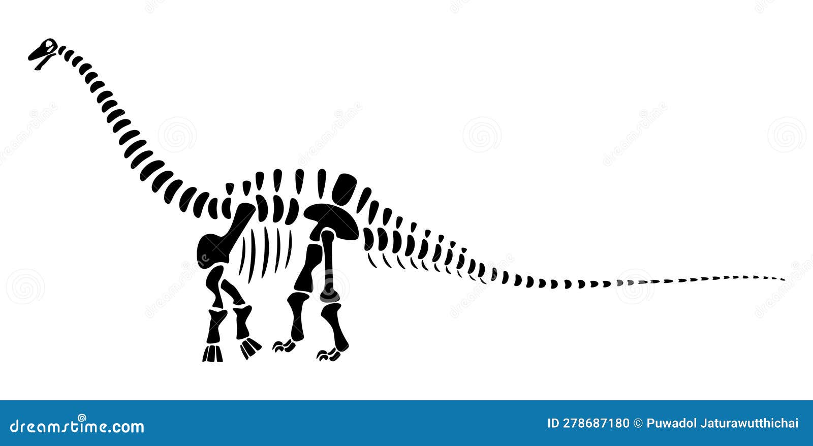 Camarasaurus Skeleton