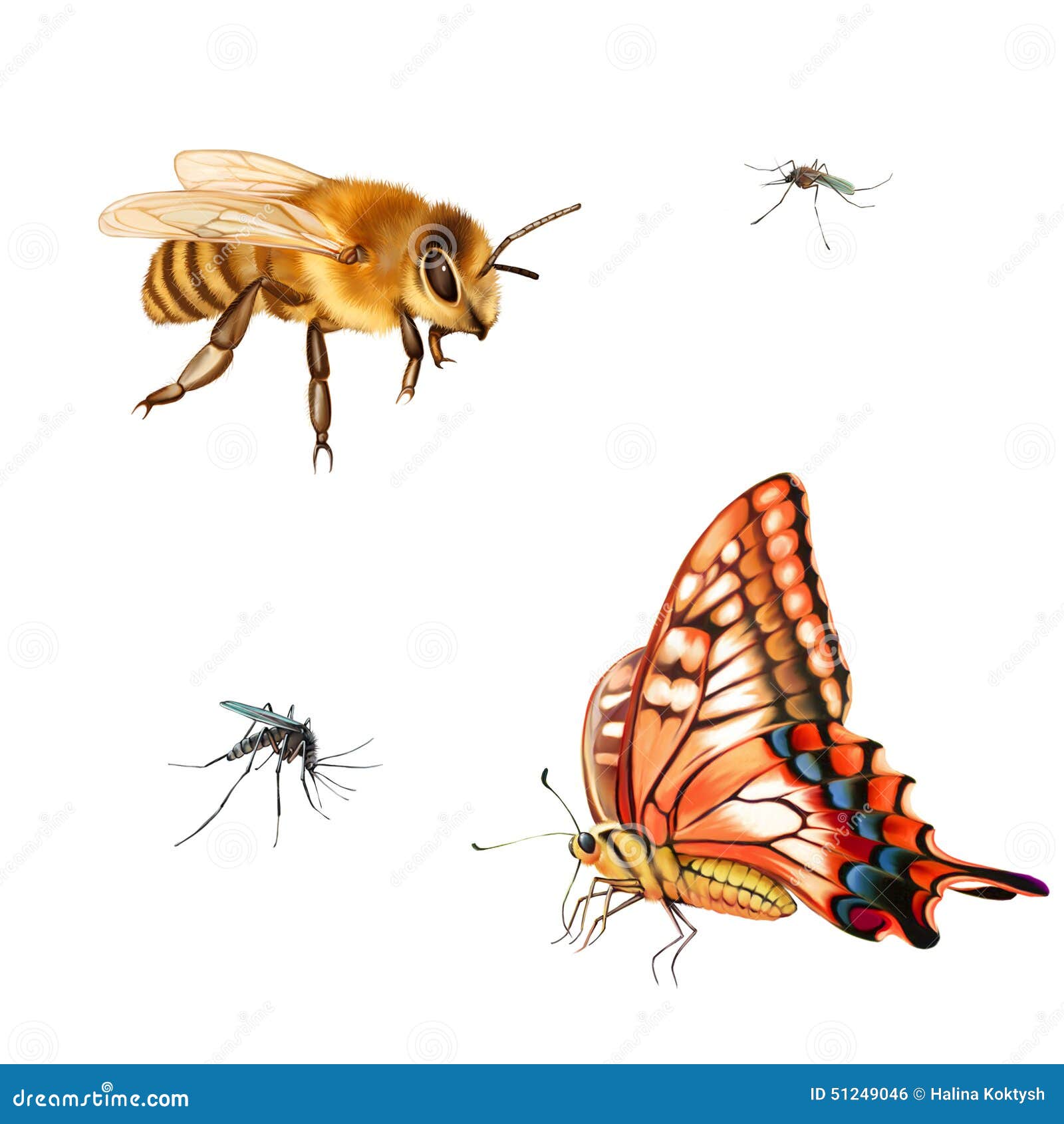 Ape Grazioso Farfalla Rossa E Gialla, Vecchio Mondo Illustrazione di ...