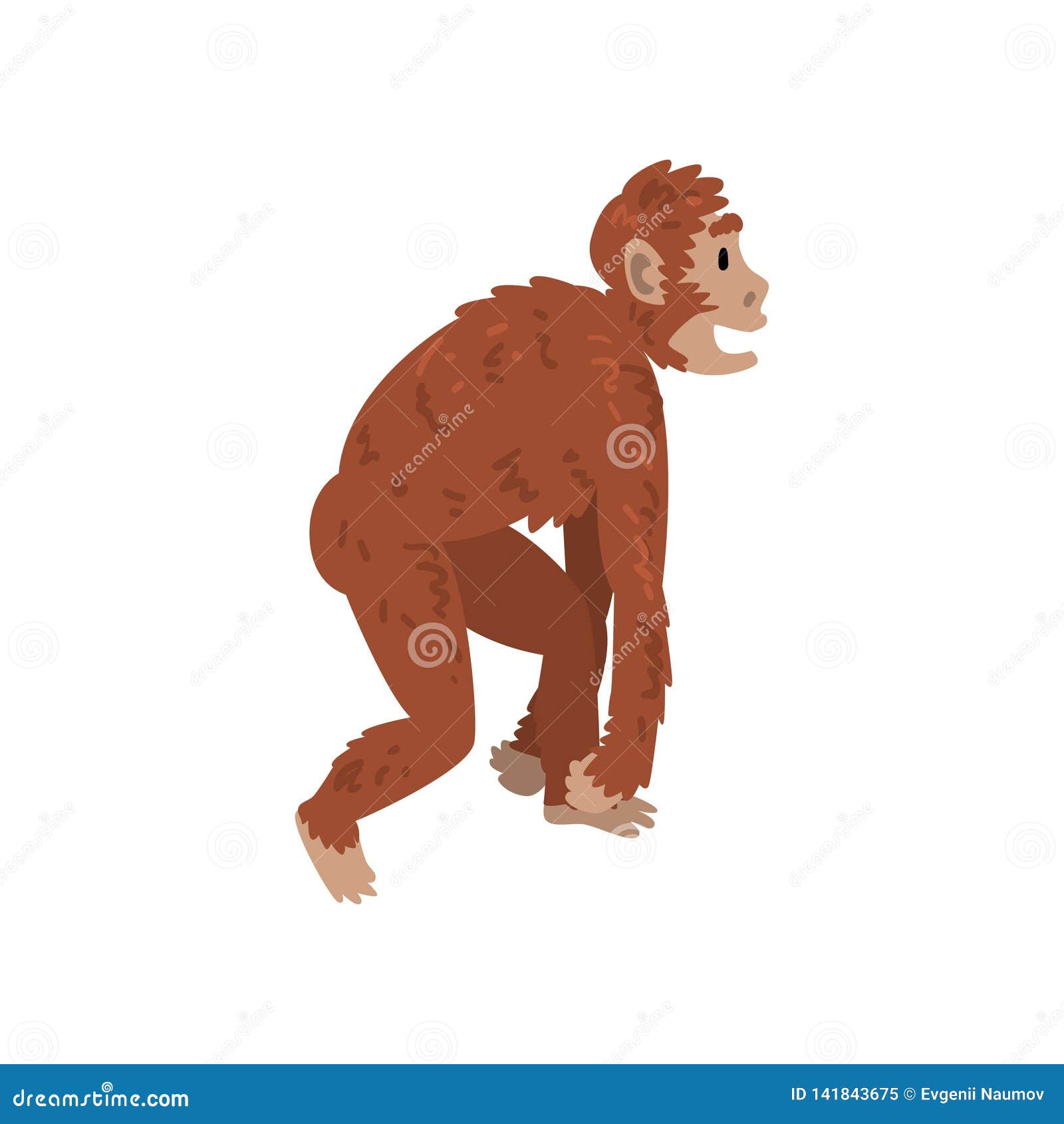 Ape Monkey, Driopitek, Biology Human Evolution Stage, Evolutionary ...