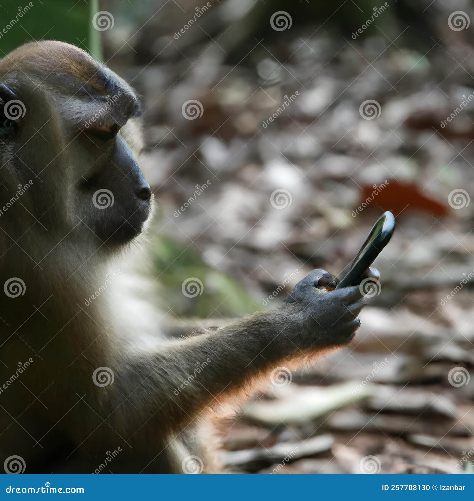 Ape Using Mobile Cellular Phone in the Jungle Stock Illustration ...