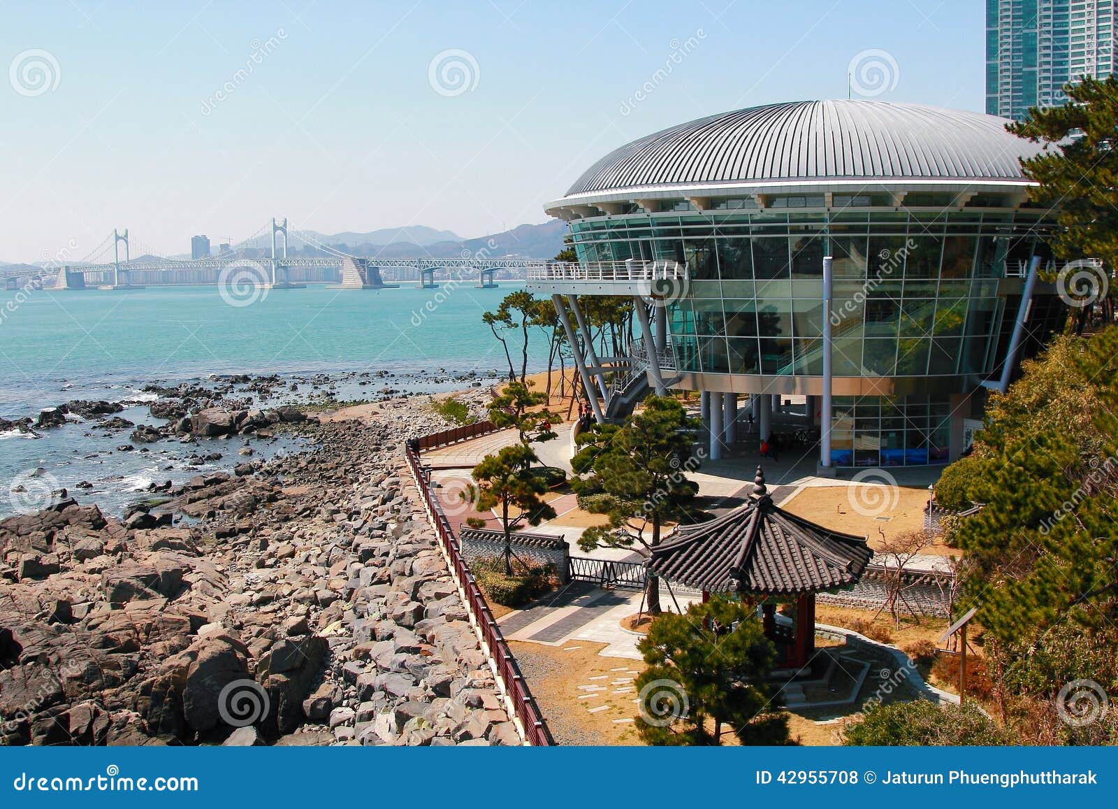 Apec house in busan stock photo. Image of busan, apec - 42955708