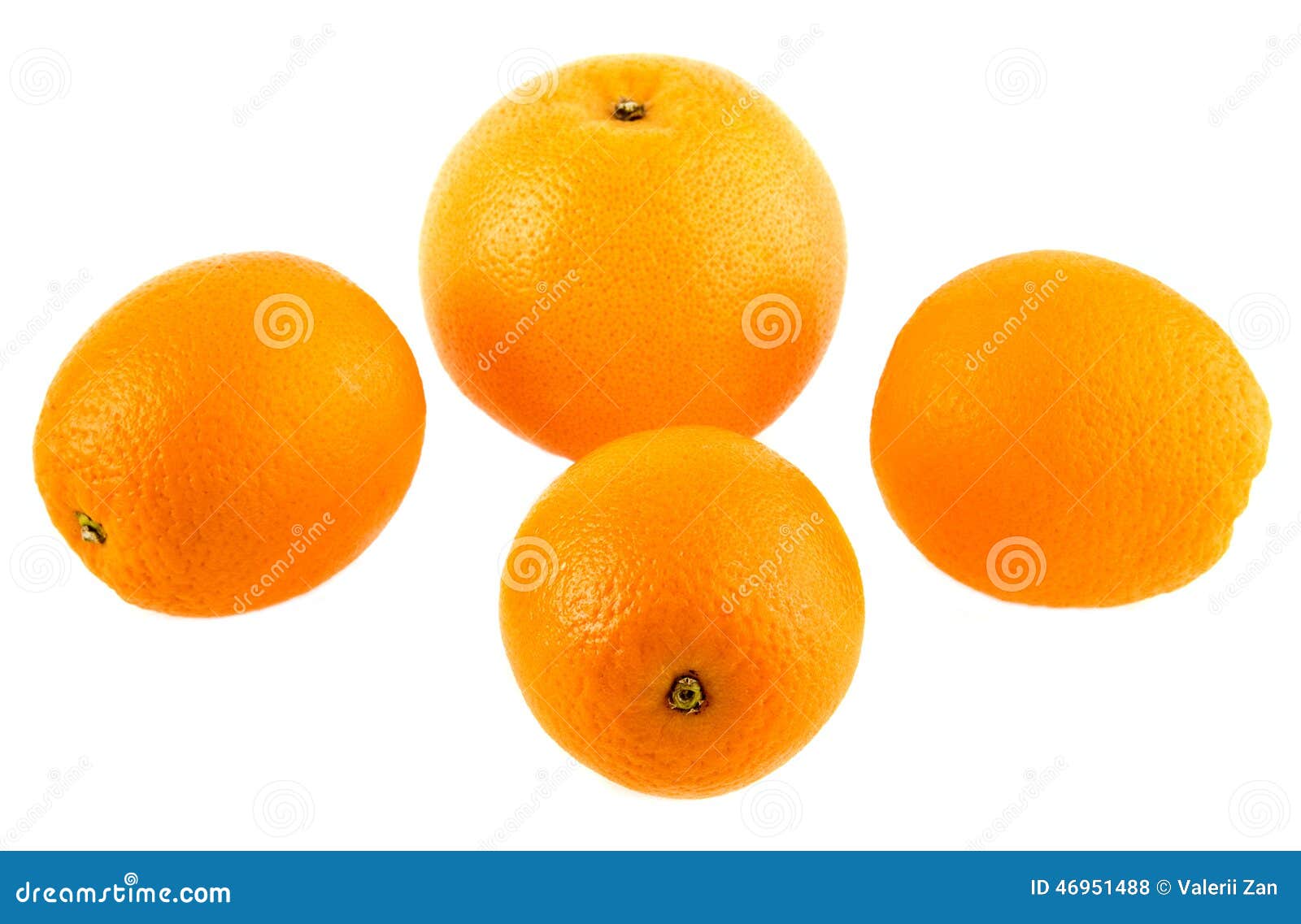 Apelsin arkivfoto. Bild av grön, cirkel, löv, stängning - 46951488