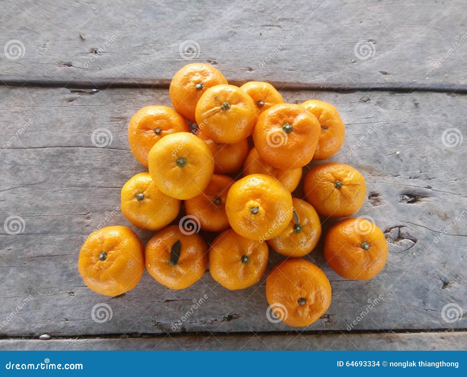 Apelsin arkivfoto. Bild av växter, kruka, fackla, grön - 64693334