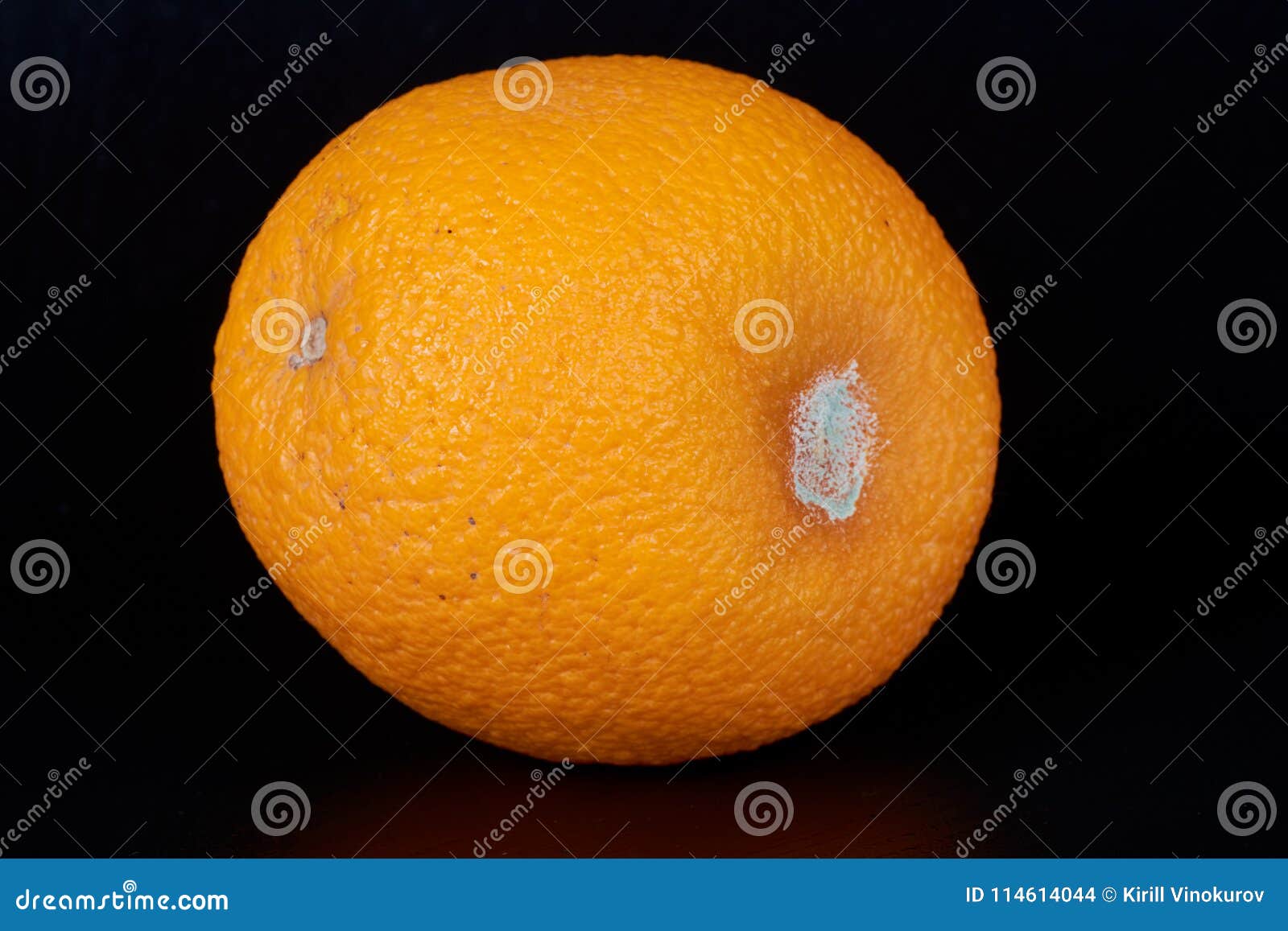 Apelsin med formen arkivfoto. Bild av makro, otäckt - 114614044