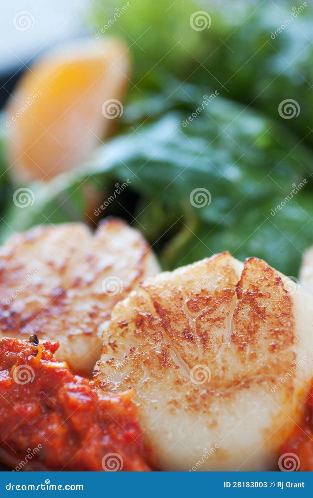 Aperitivo Chamuscado De La Concha De Peregrino Imagen de archivo ...