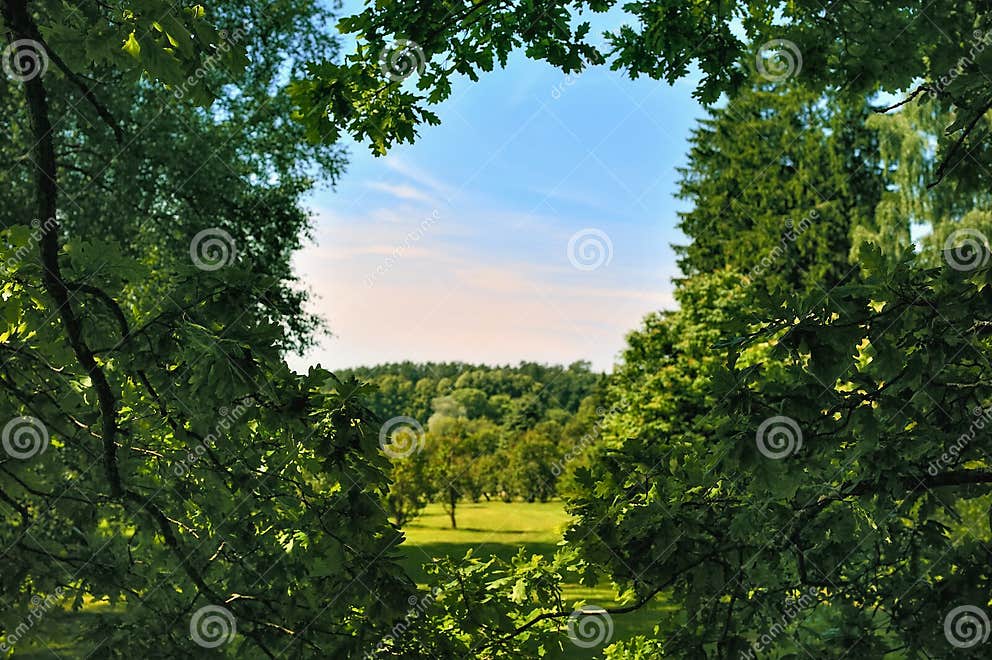 Aperture stock photo. Image of leafy, rural, plant, border - 23808646