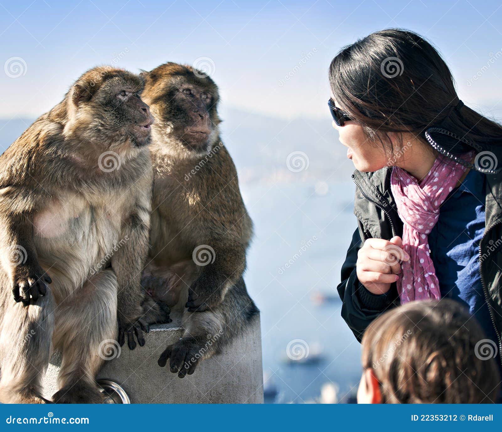 Apes Talking with Woman stock photo. Image of tourist - 22353212