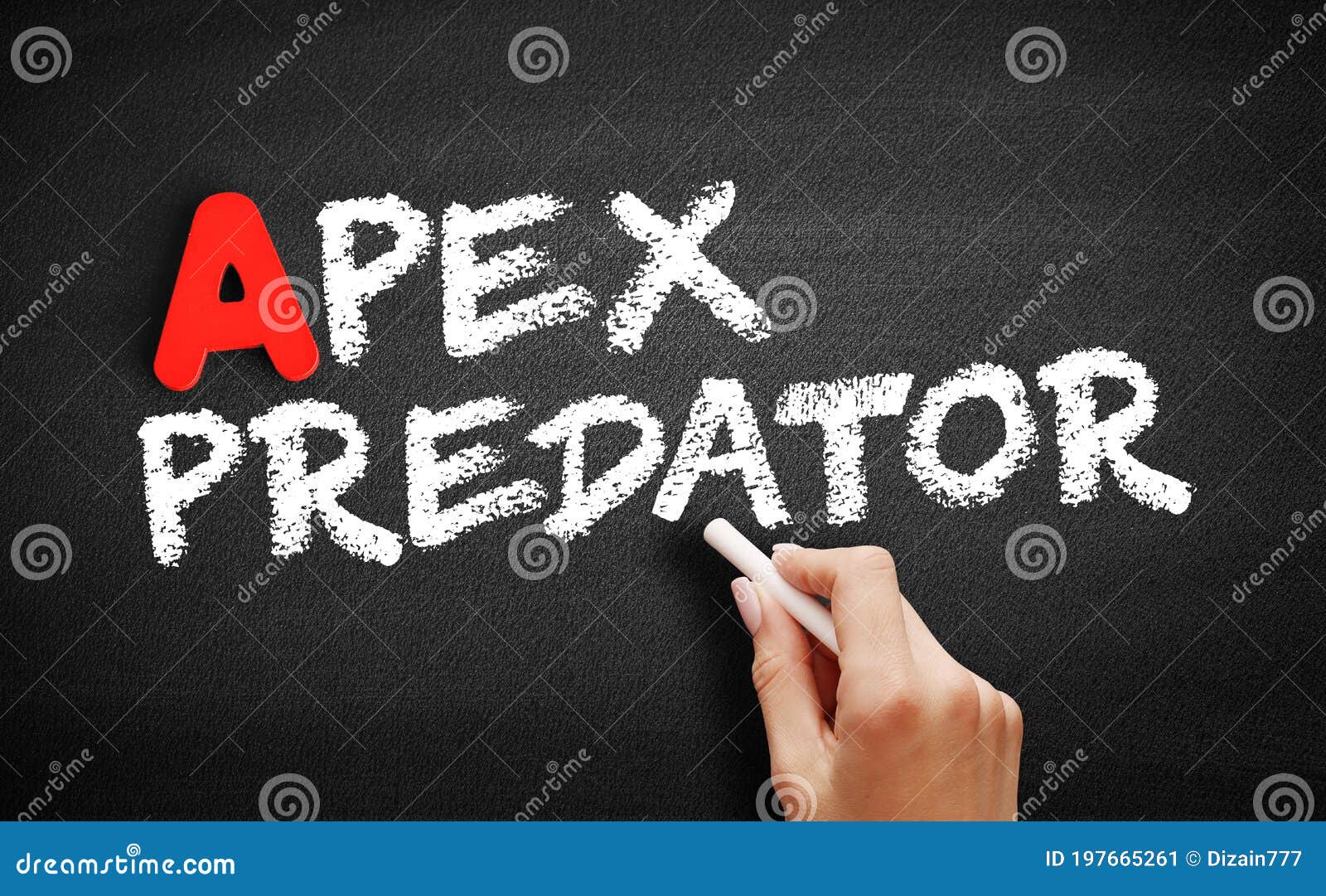 Apex Predator Background Concept Stock Photos - Free & Royalty-Free ...