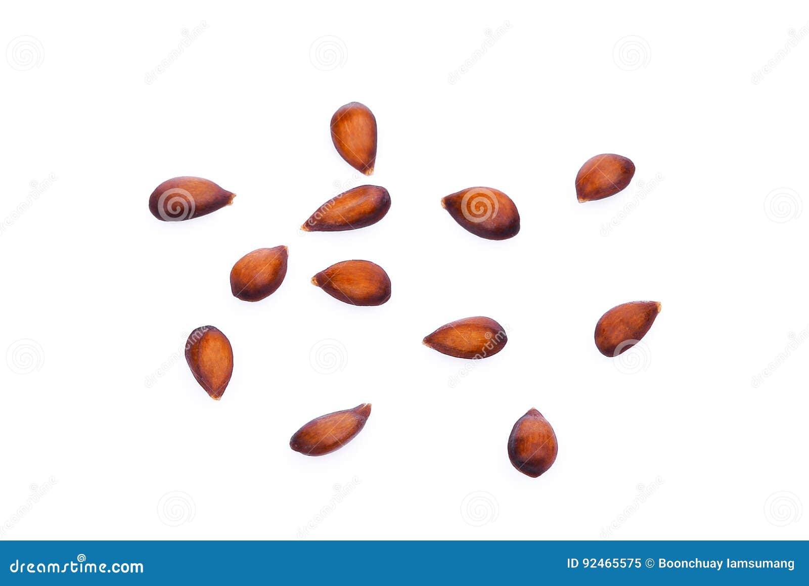 Apfelkerne Lokalisiert Auf Whtie Stockbild - Bild von stück, apfel ...