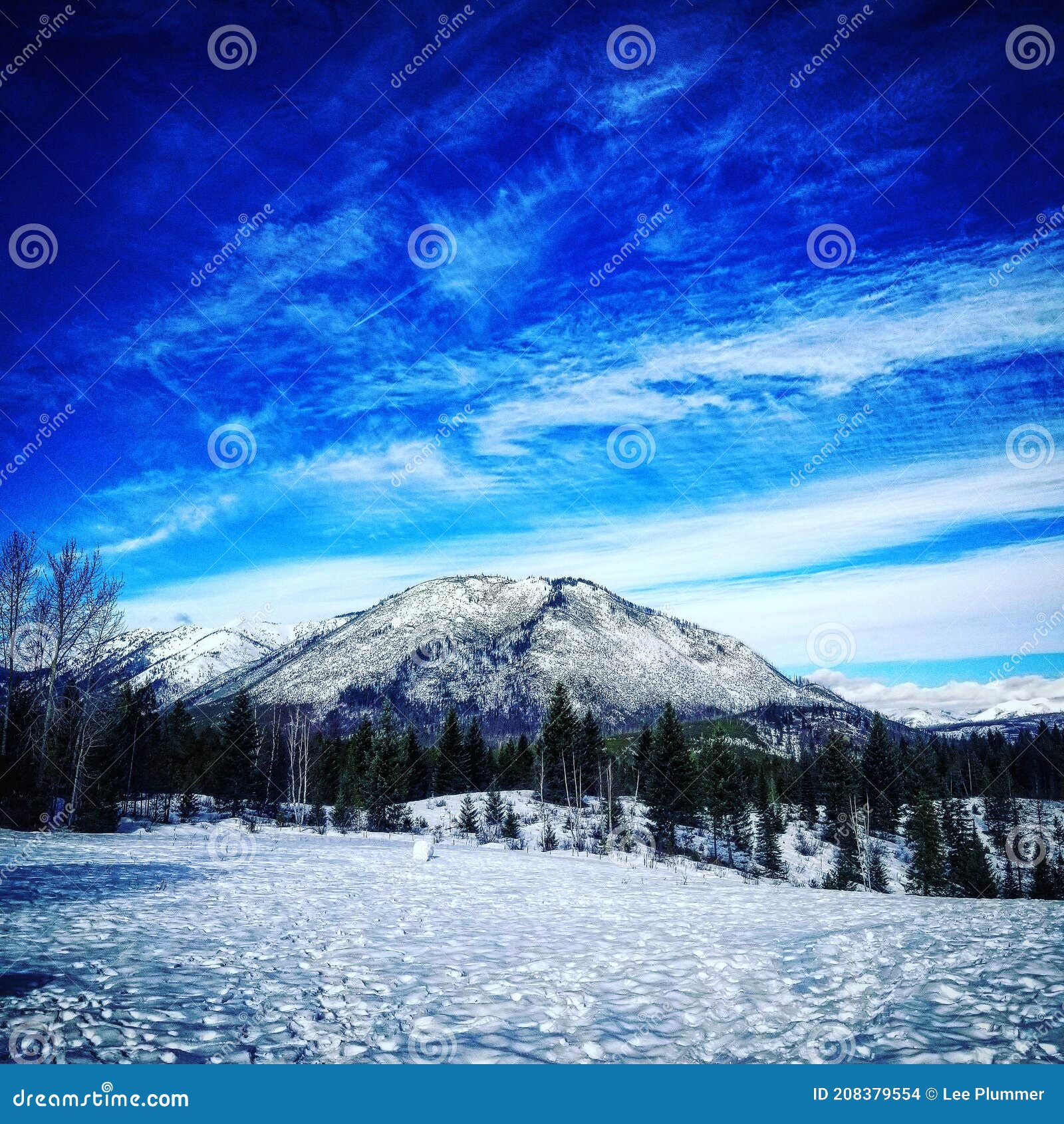 Apgar Mountain, Montana stock photo. Image of apgar - 208379554