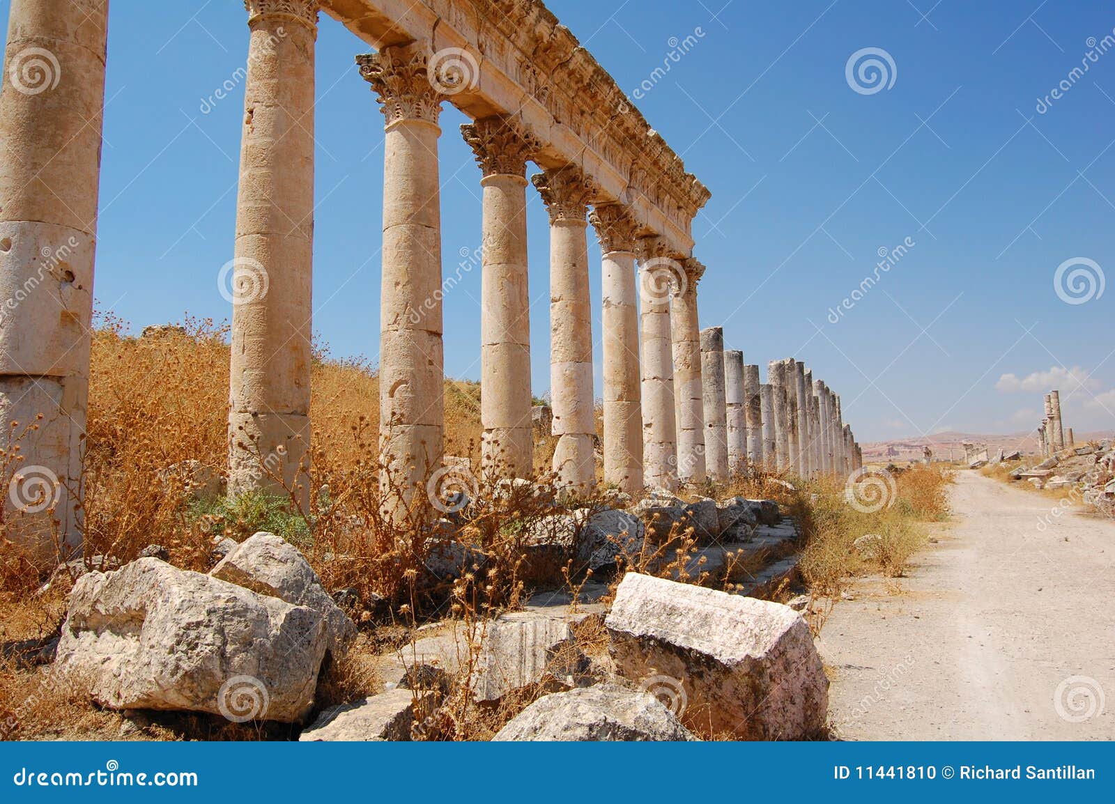 Aphamia ruins, Syria stock photo. Image of city, afamia - 11441810