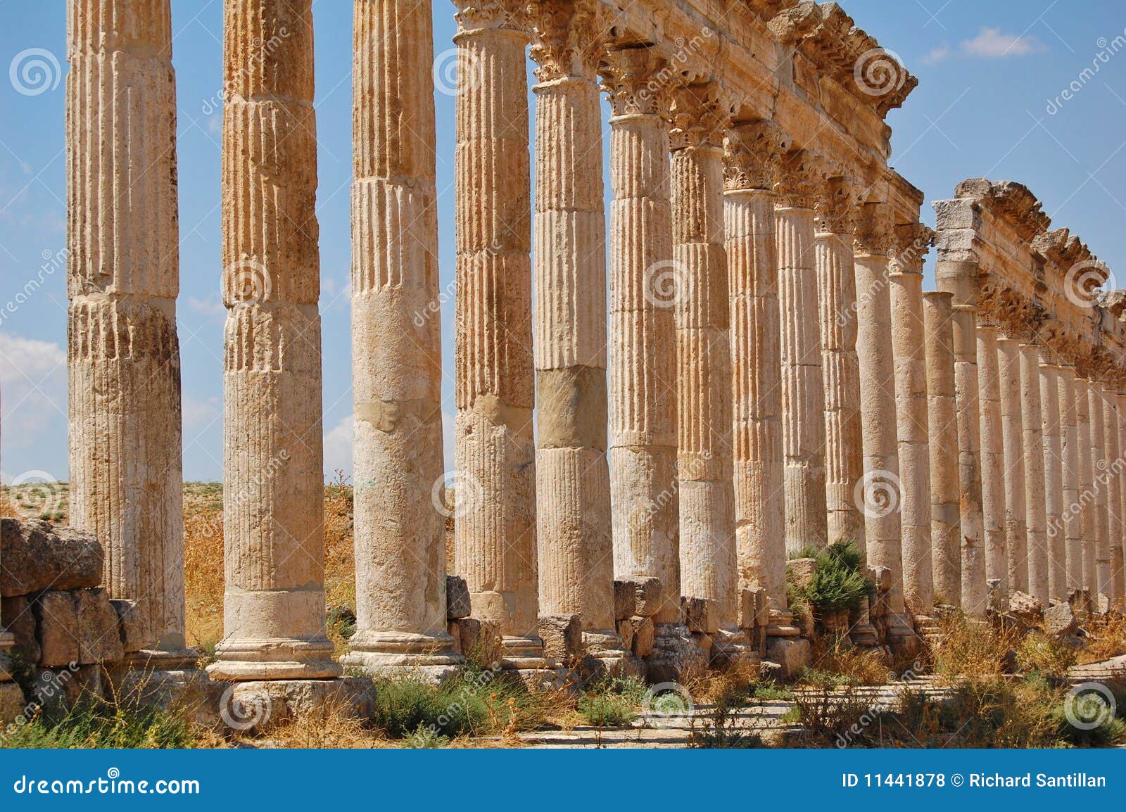 Aphamia ruins, Syria stock photo. Image of ancient, damascus - 11441878