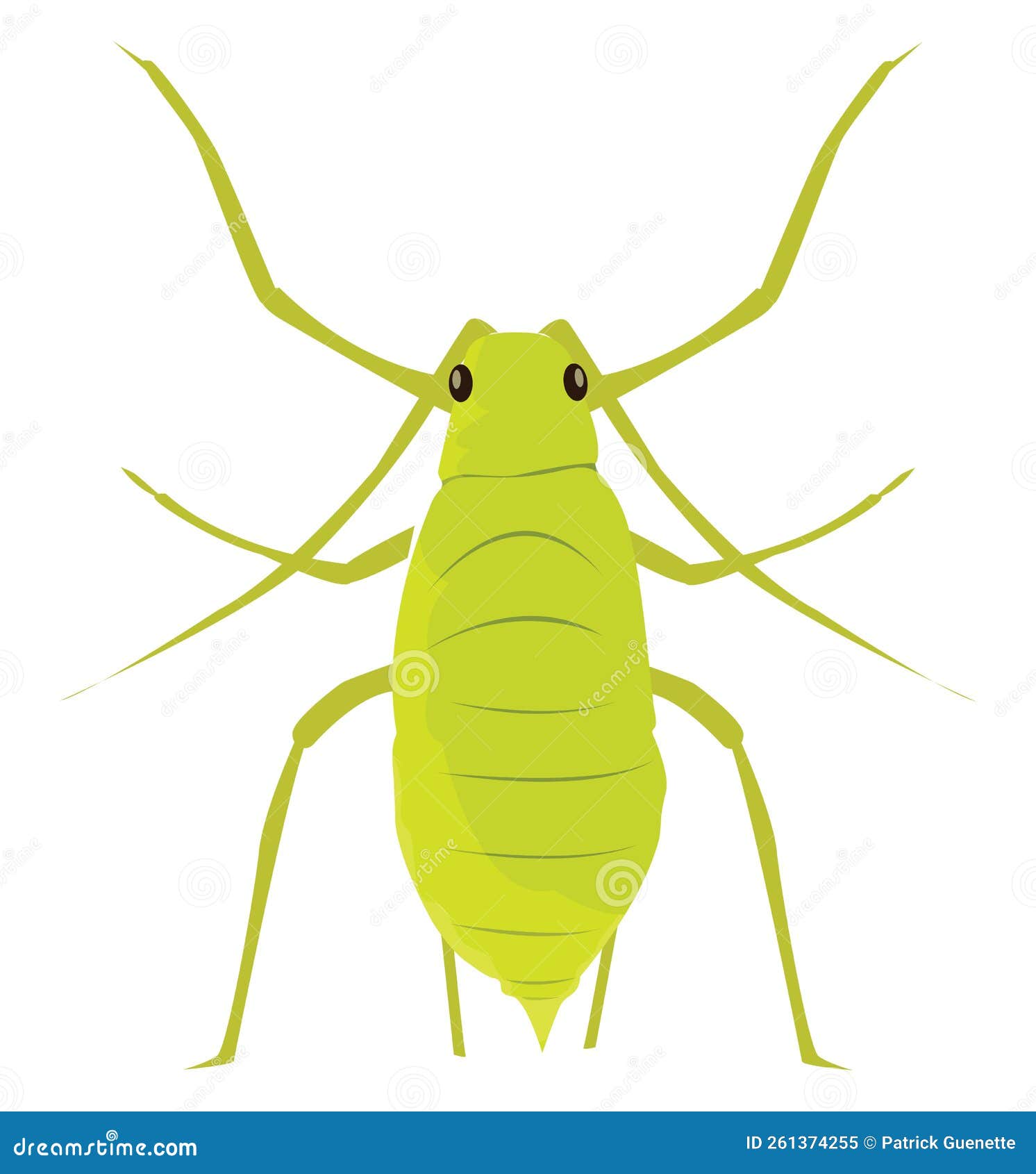 Aphid bug, icon stock vector. Illustration of nature - 261374255