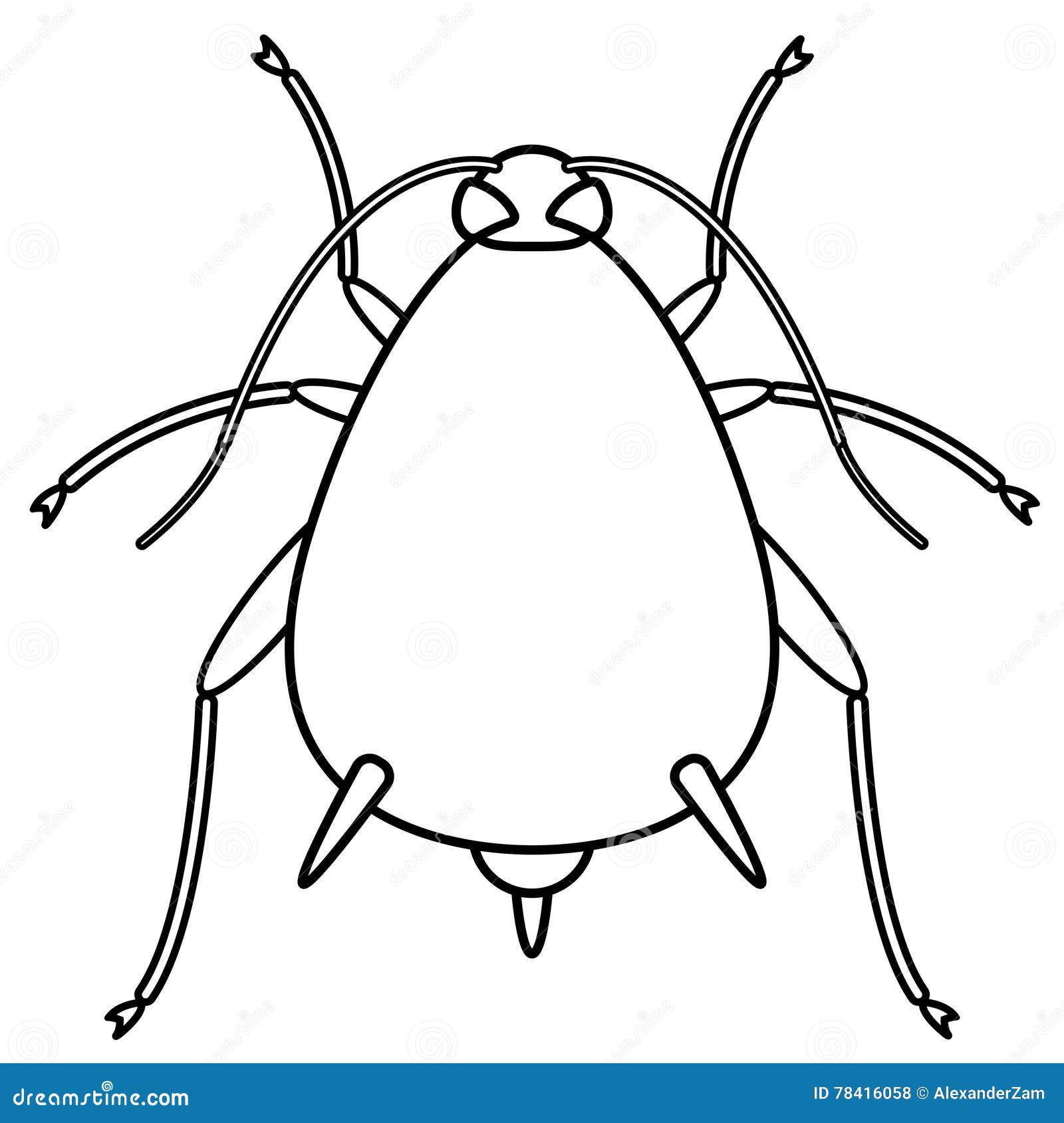 Aphid contour insect stock vector. Illustration of transparent - 78416058